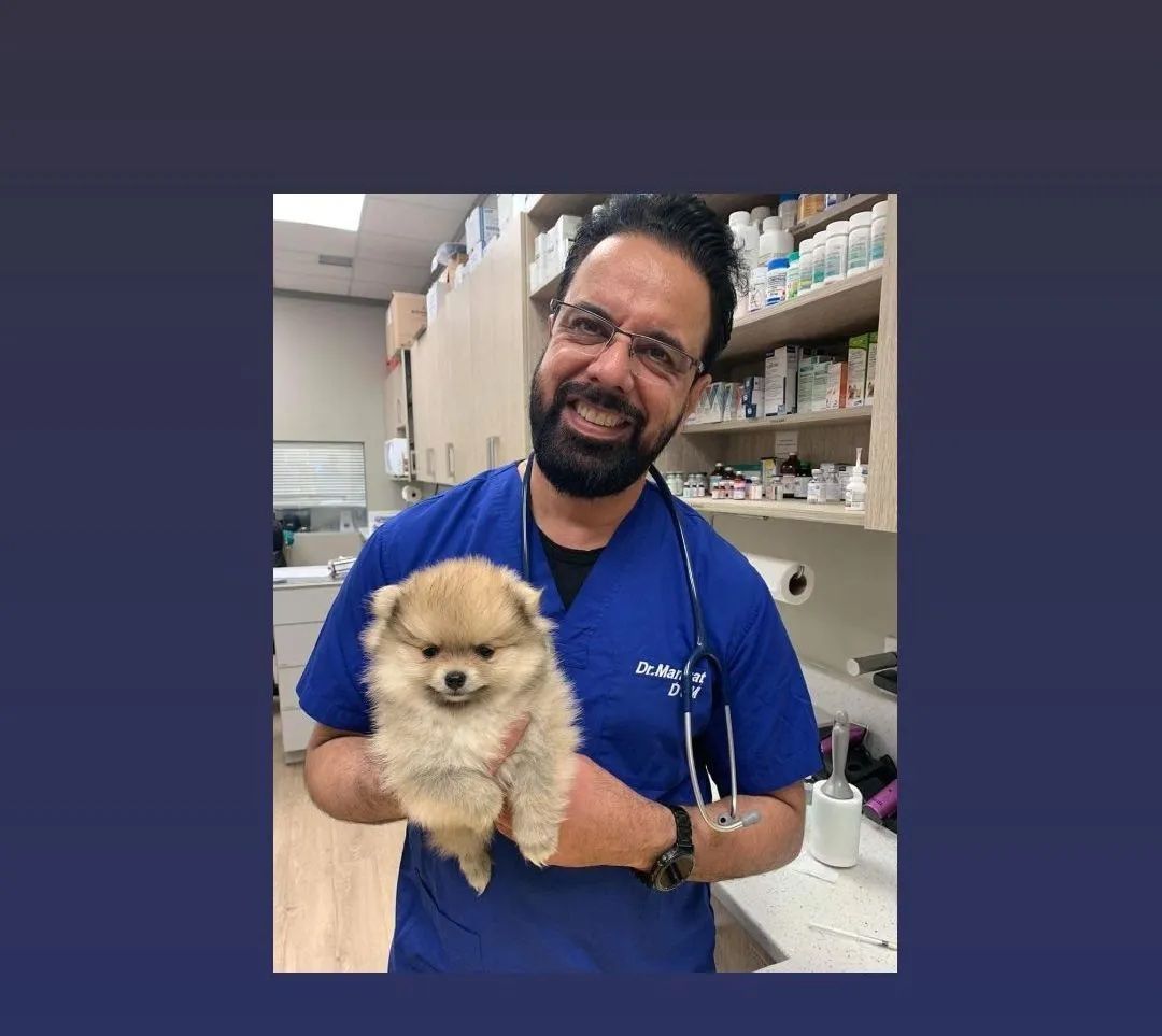 About Us | Calgary, AB | Auburn Bay Veterinary Clinic