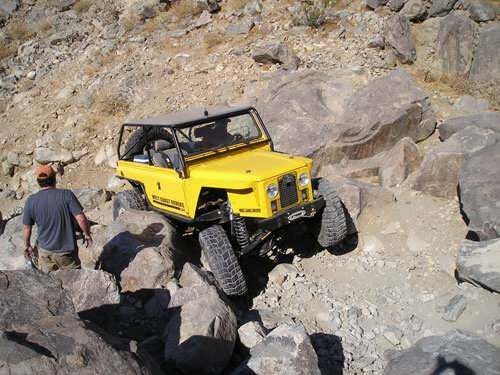 Gallery - West Coast Rovers