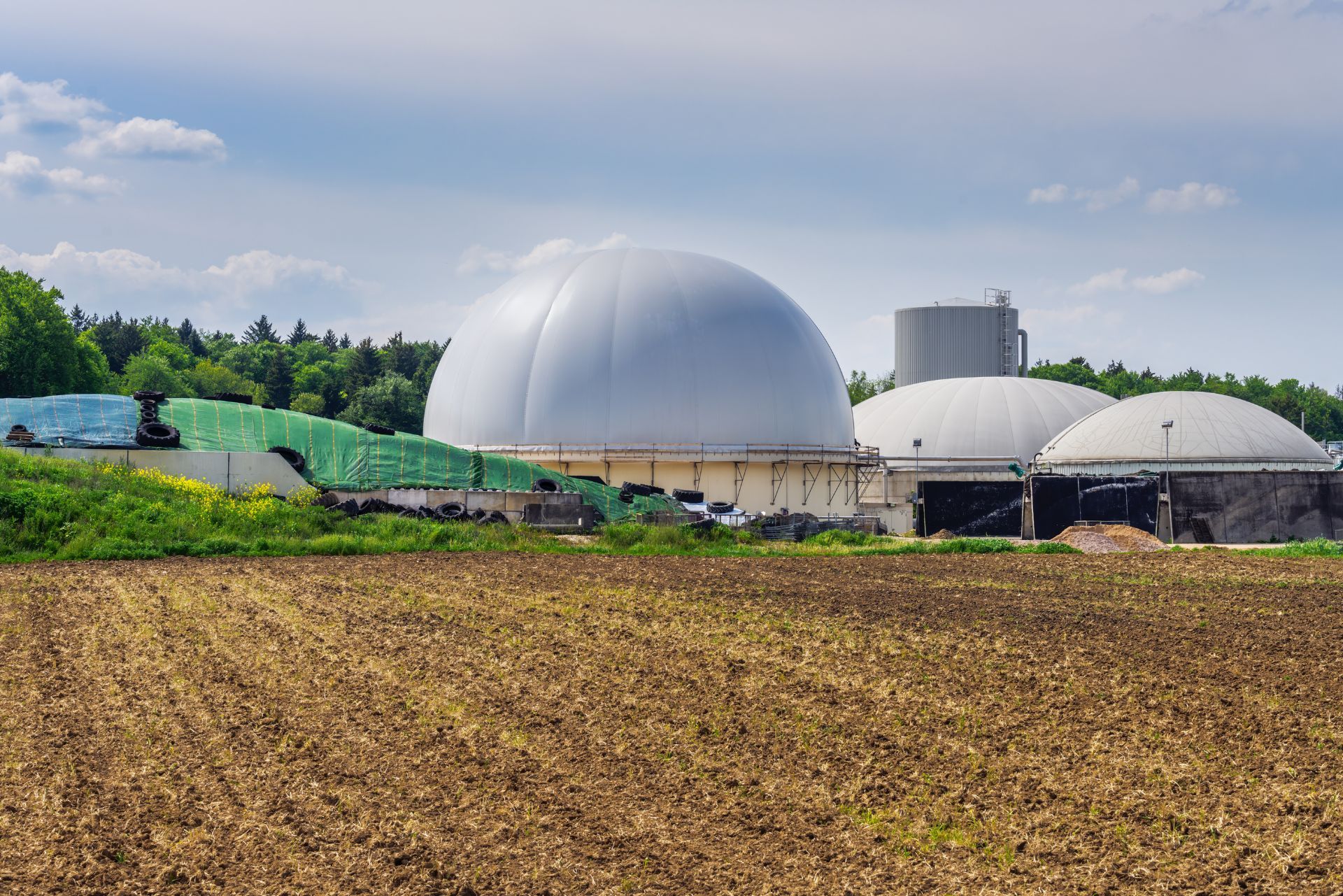 Biomass and Bioenergy Power Plant Insurance