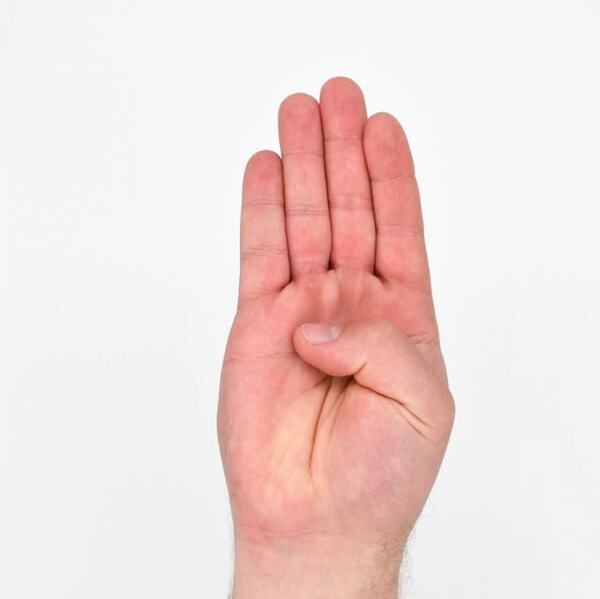 Sign Language Alphabet and finger positions | howtolearnalanguage.info