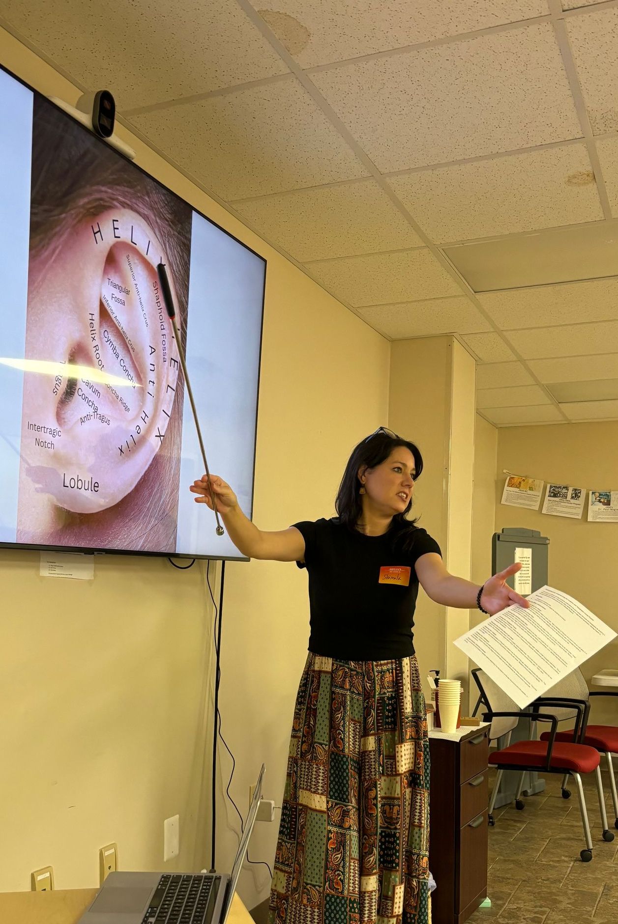 Ear Acupuncture | Grounded Path Holistic Counseling LLC