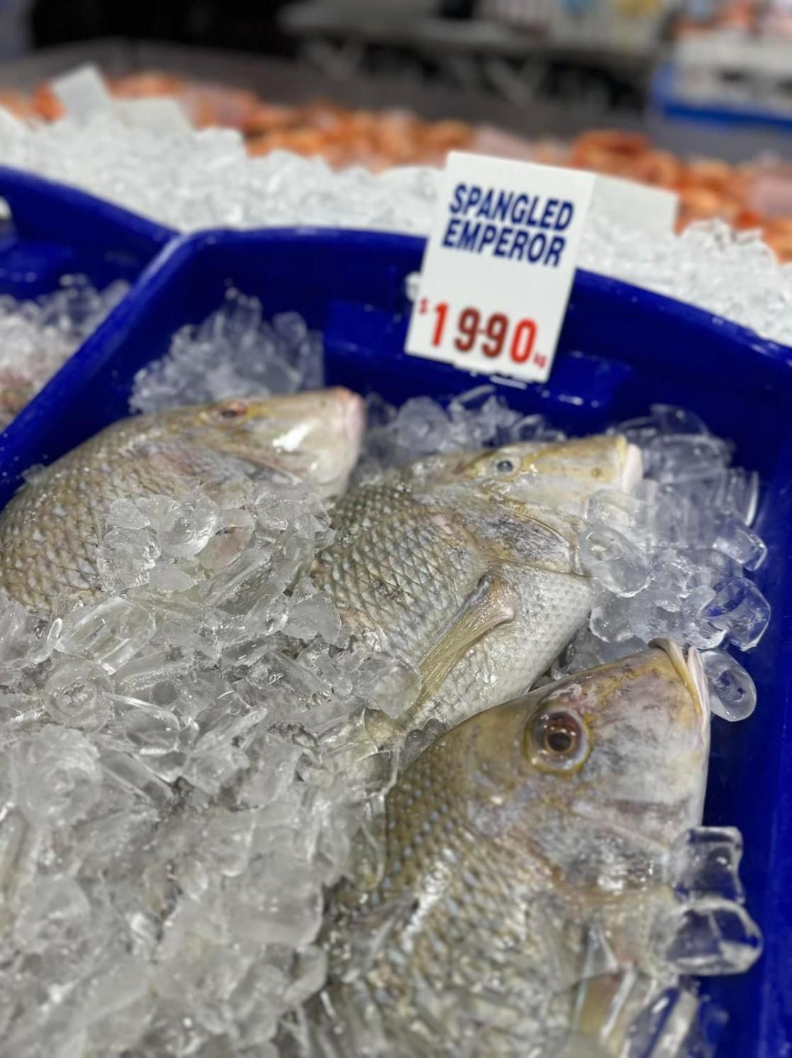 Seafood Shop in Ballina | Northern Rivers Seafood