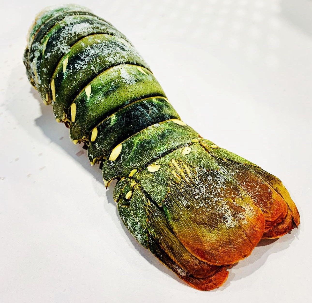 Frozen Seafood in Ballina | Northern Rivers Seafood