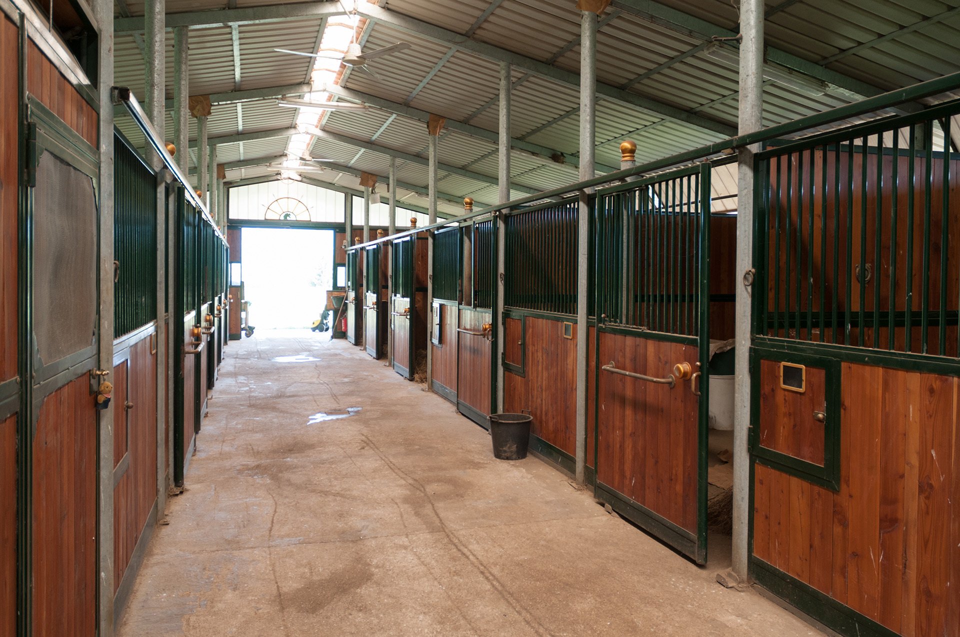 Steel Equestrian Buildings - Summit | Get a Free Quote