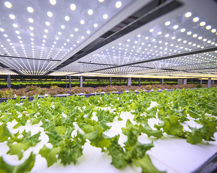 Steel lets you stack your crops