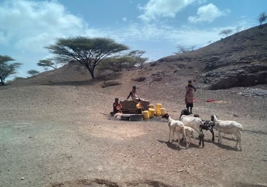 Drought and north Turkana – an urgent response is needed