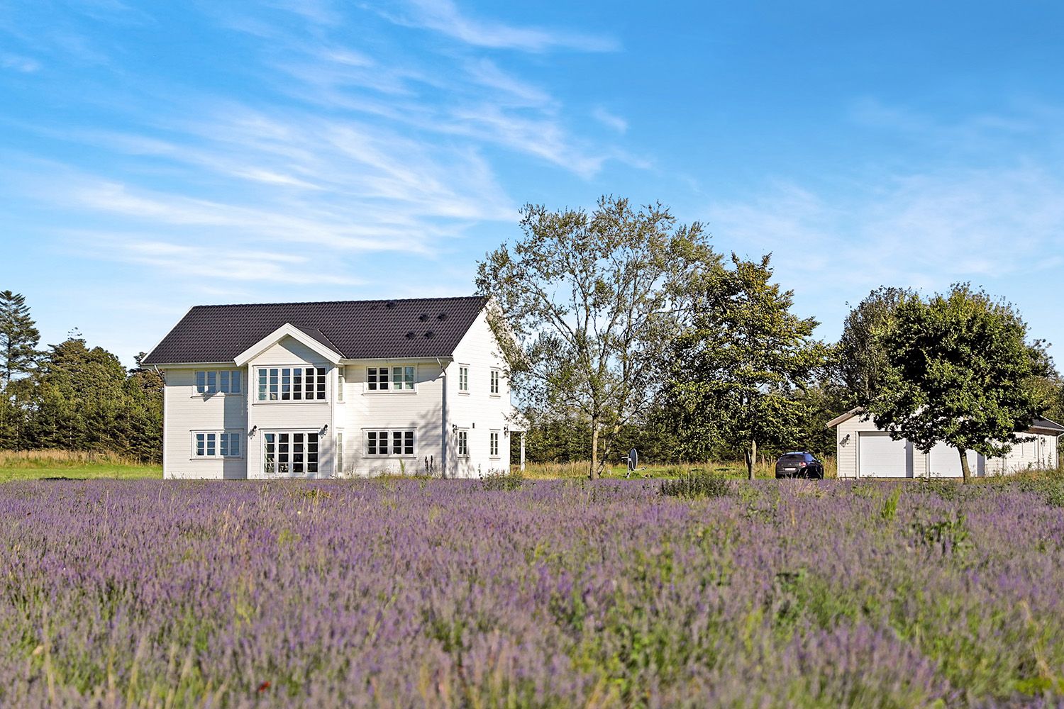 Lavenergi hus - Miljøvenlige huse i træ fra Trelleborg