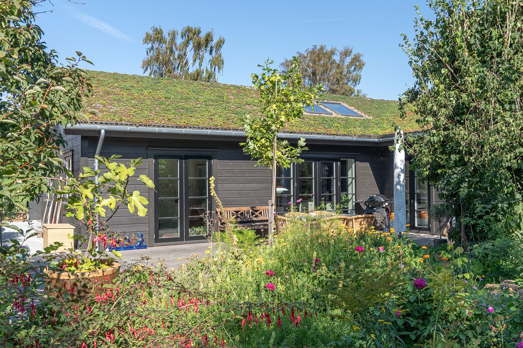 Lavenergi hus - Miljøvenlige huse i træ fra Trelleborg