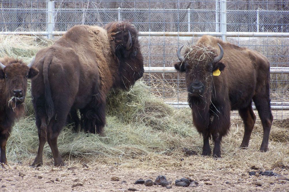 RV Park Gallery | Rockwell RV Park | Oklahoma City, OK