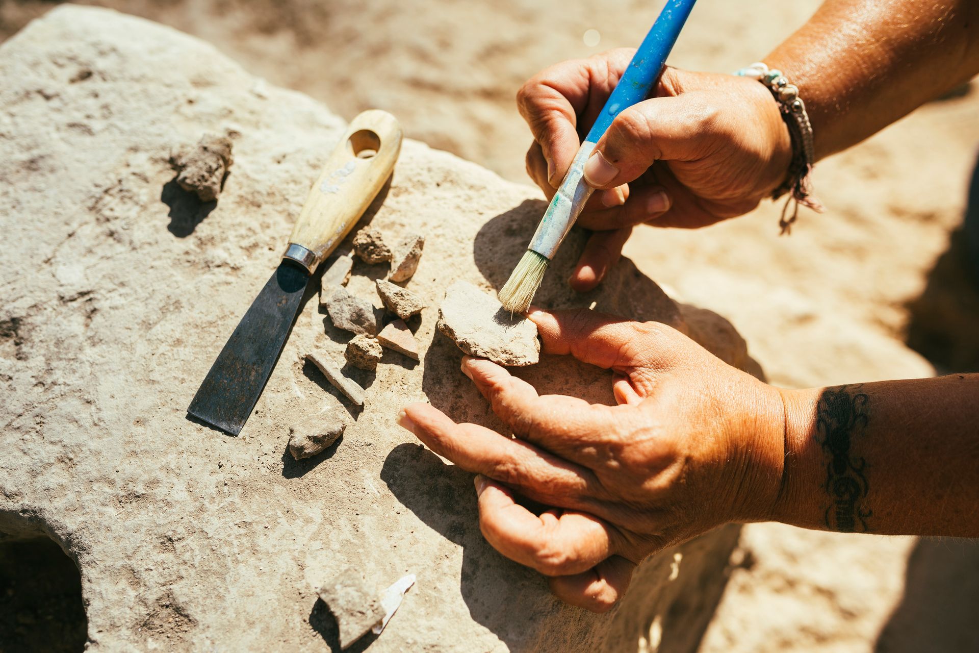 Archaeological Excavation | NSW | McCardle Cultural Heritage