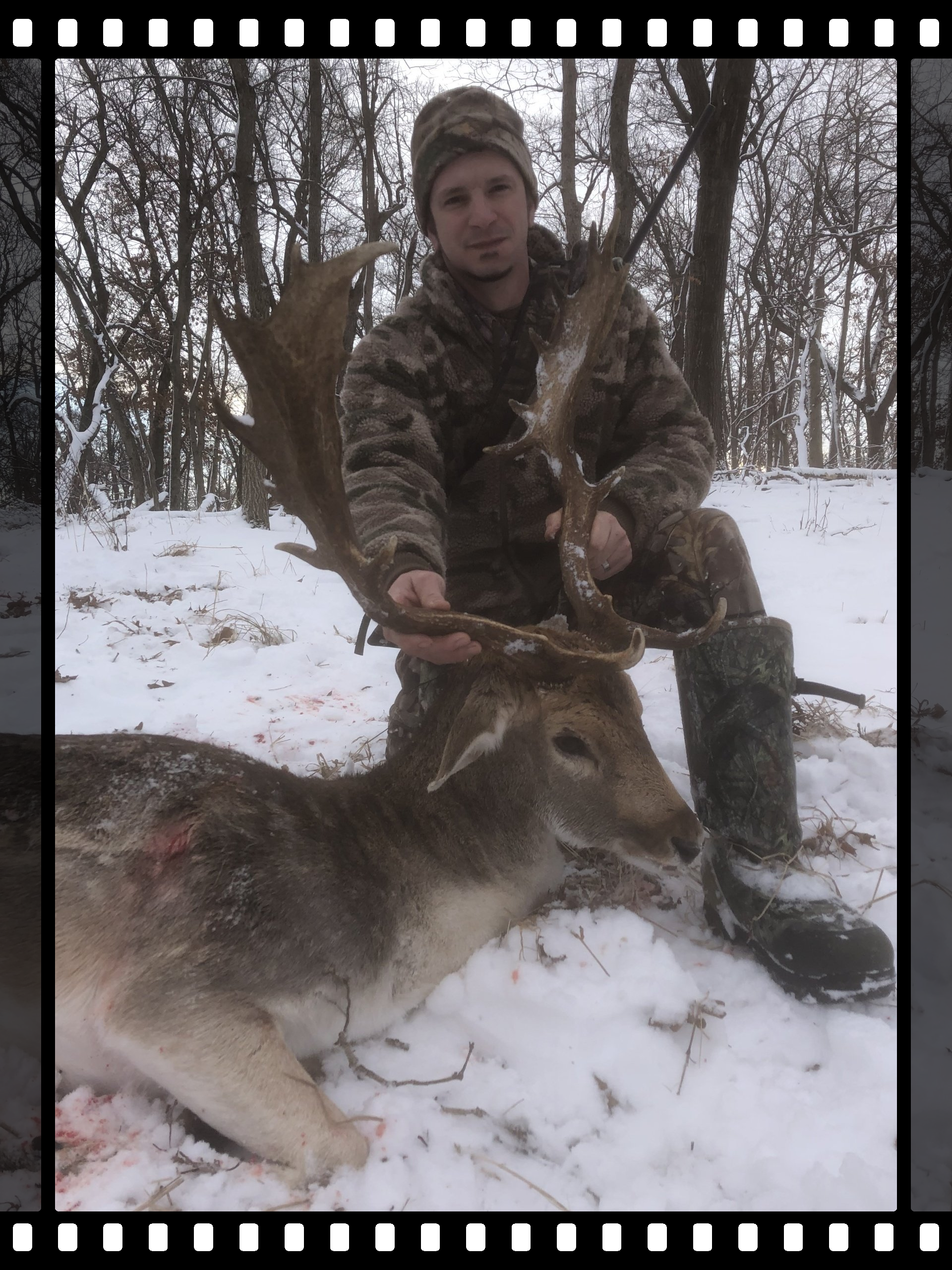 Big game hunting guides animals elk buffalo, sitka deer, whitetail deer ...