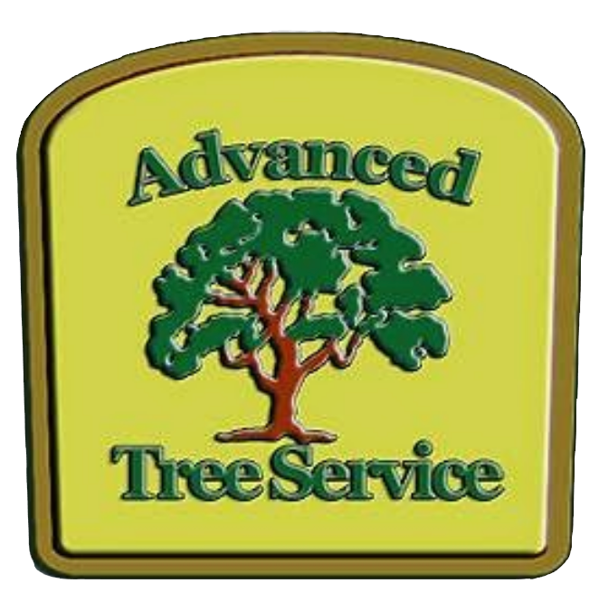 Advanced Tree Service | Bismarck, North Dakota