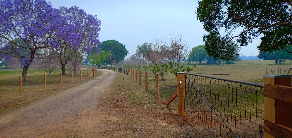 Wire Fencing In Taree | The Fence Men