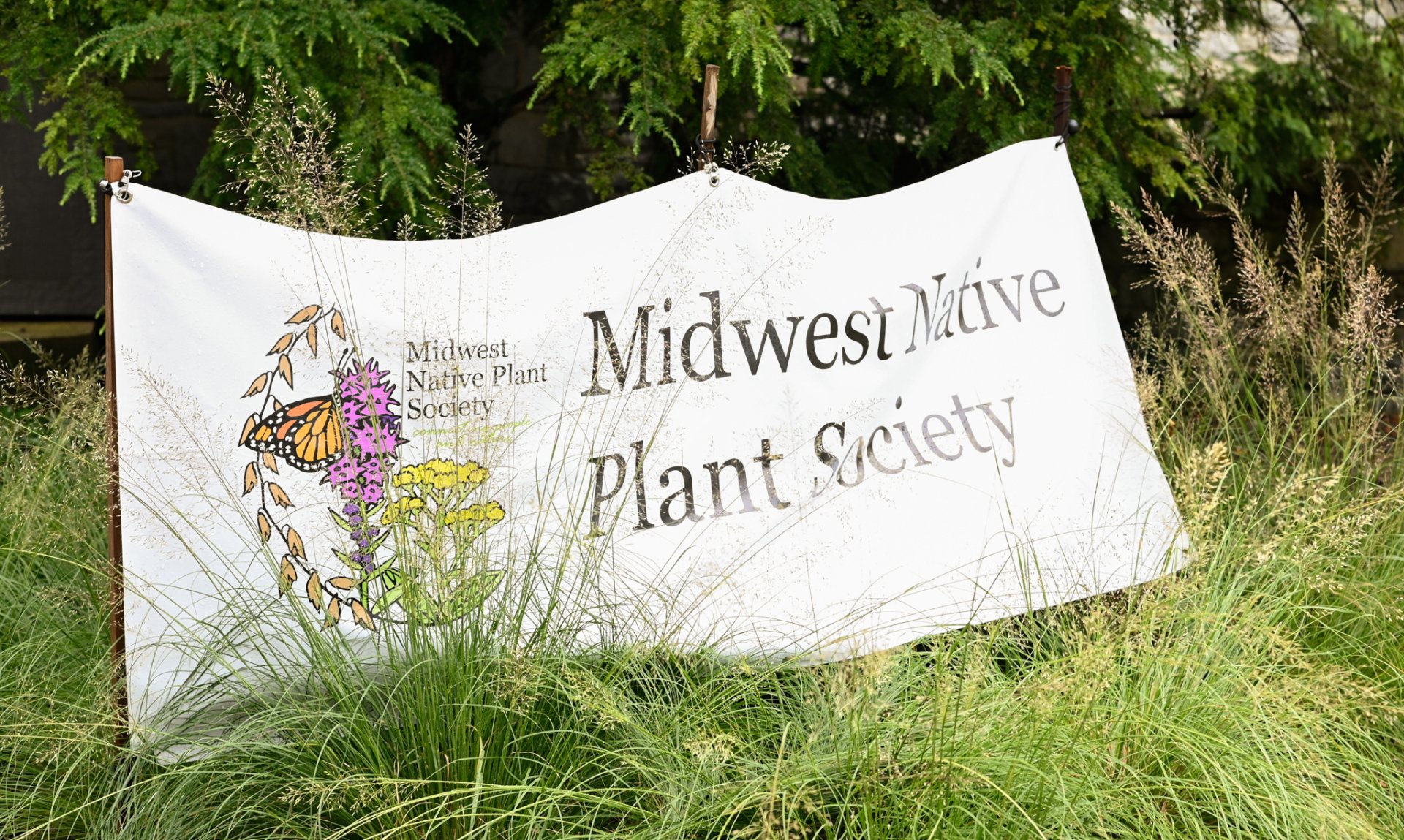 Midwest Native Plant Society - Ohio