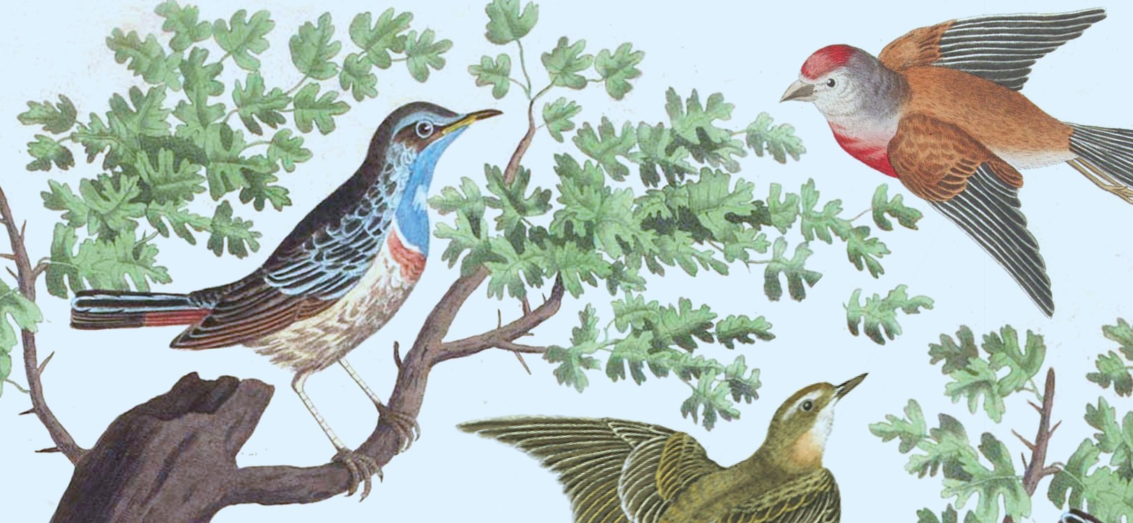 &Talent, doen waar je goed in bent