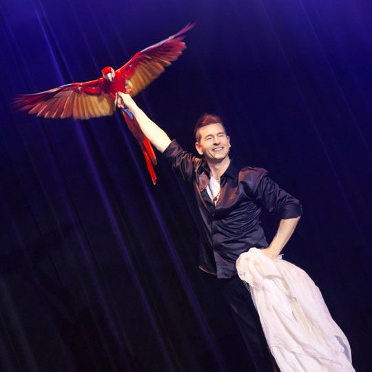 Wild Magic Photo Gallery | Greg Frewin Theatrical Centre