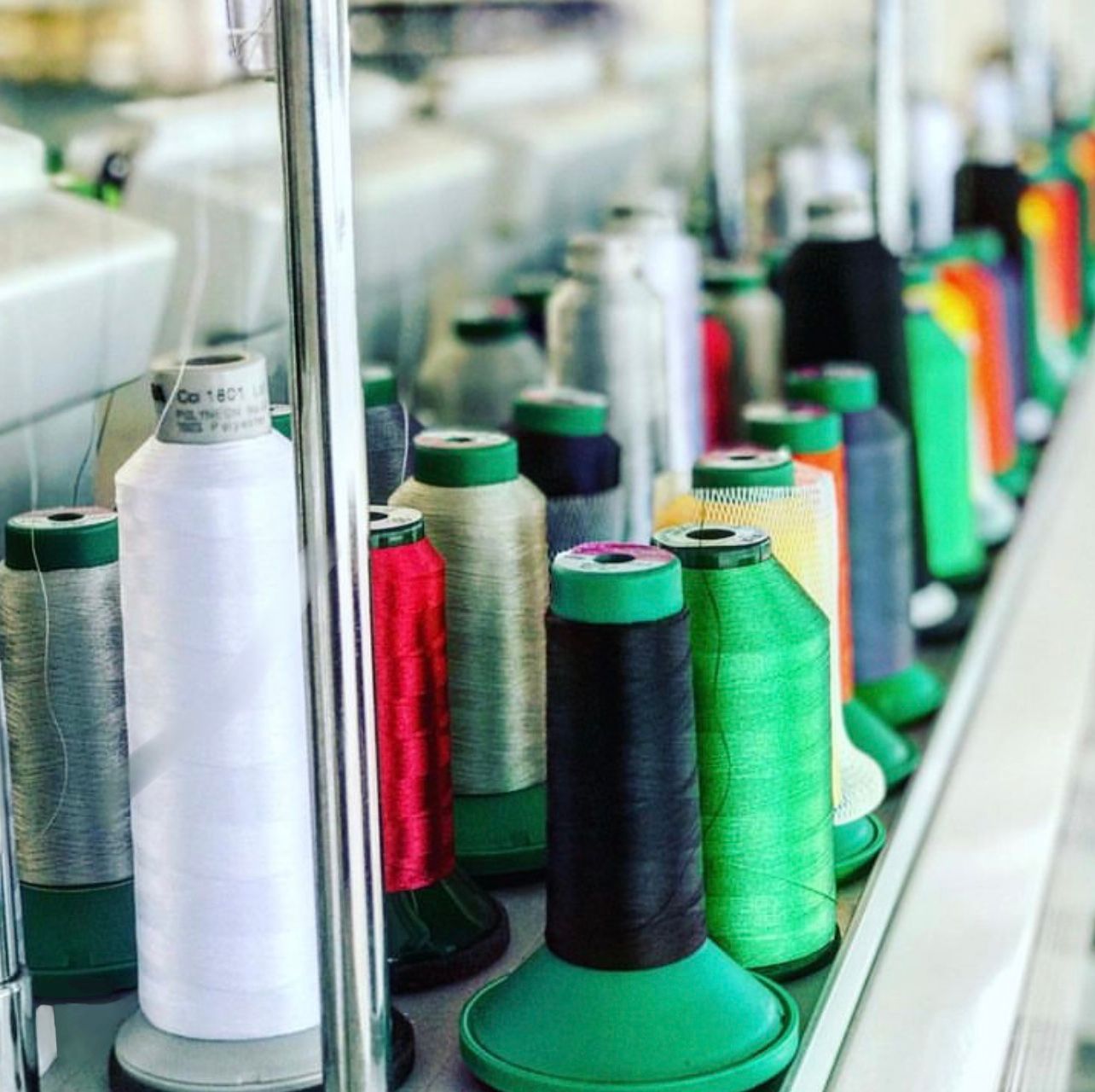 Palmetto Screen Print & Embroidery | Home