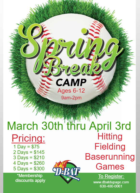Camps & Clinics | D-BAT DuPage | Villa Park, IL