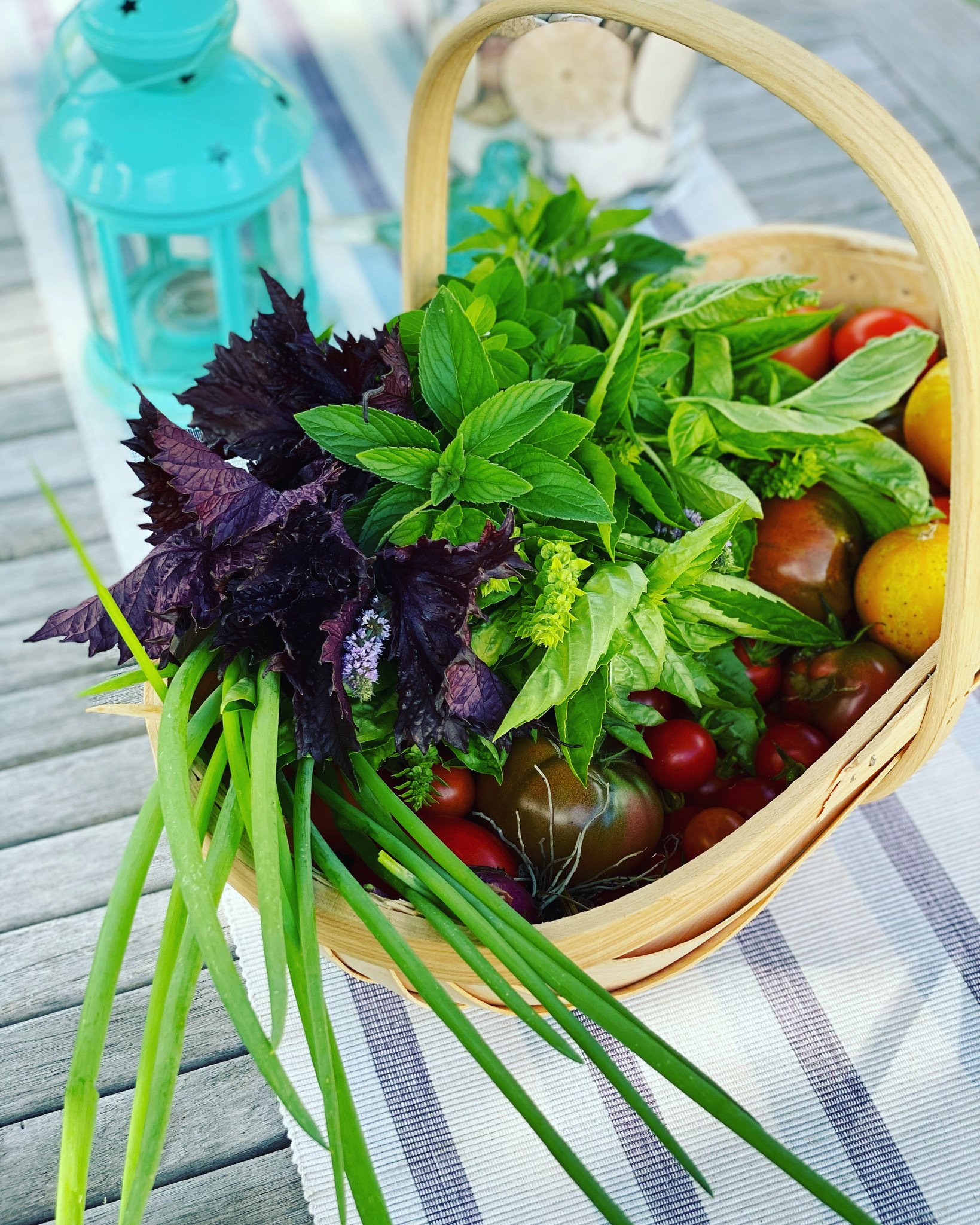 Global Food Trends | Culinary Concierge