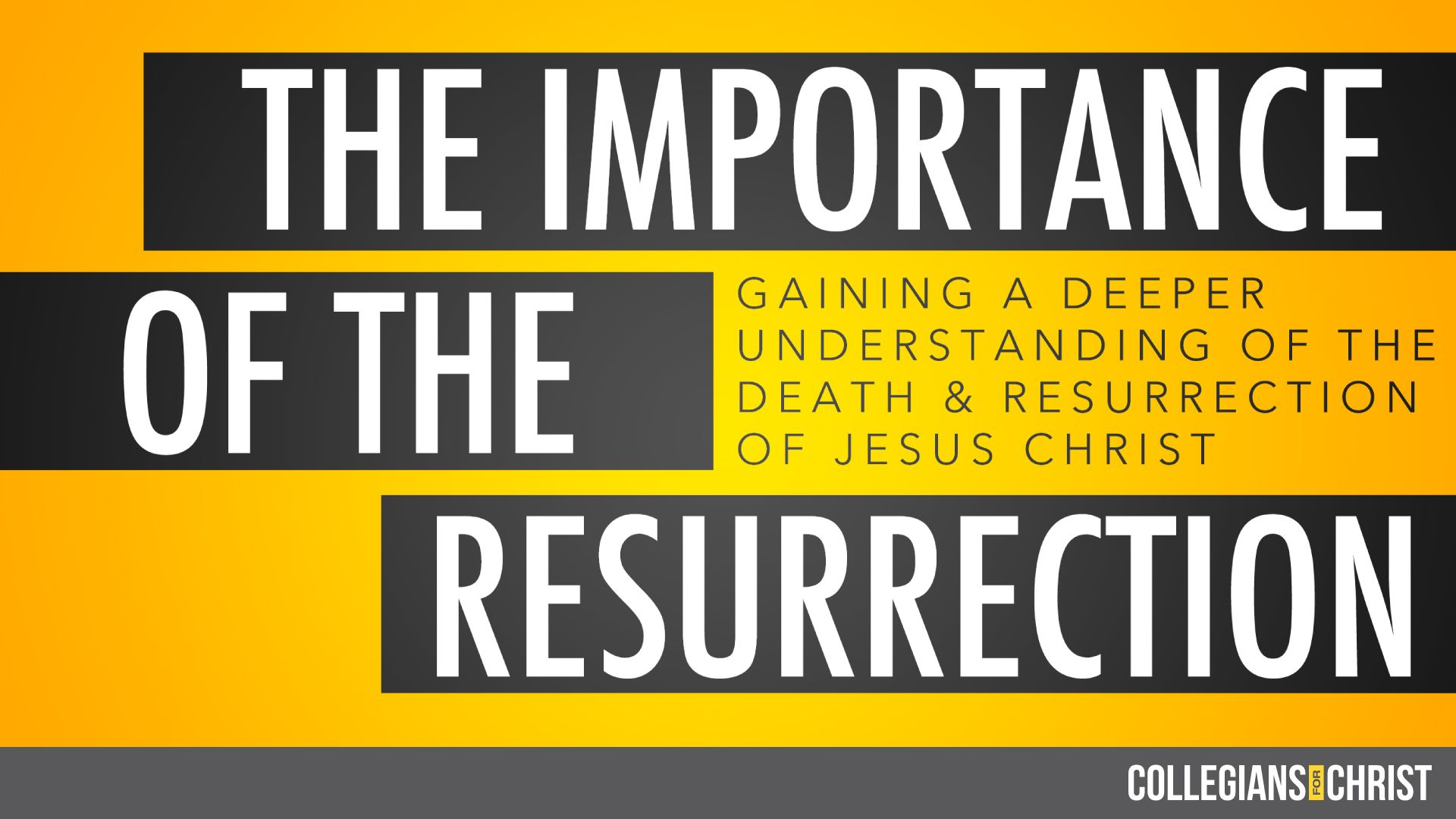 Bible Study Material & Resources