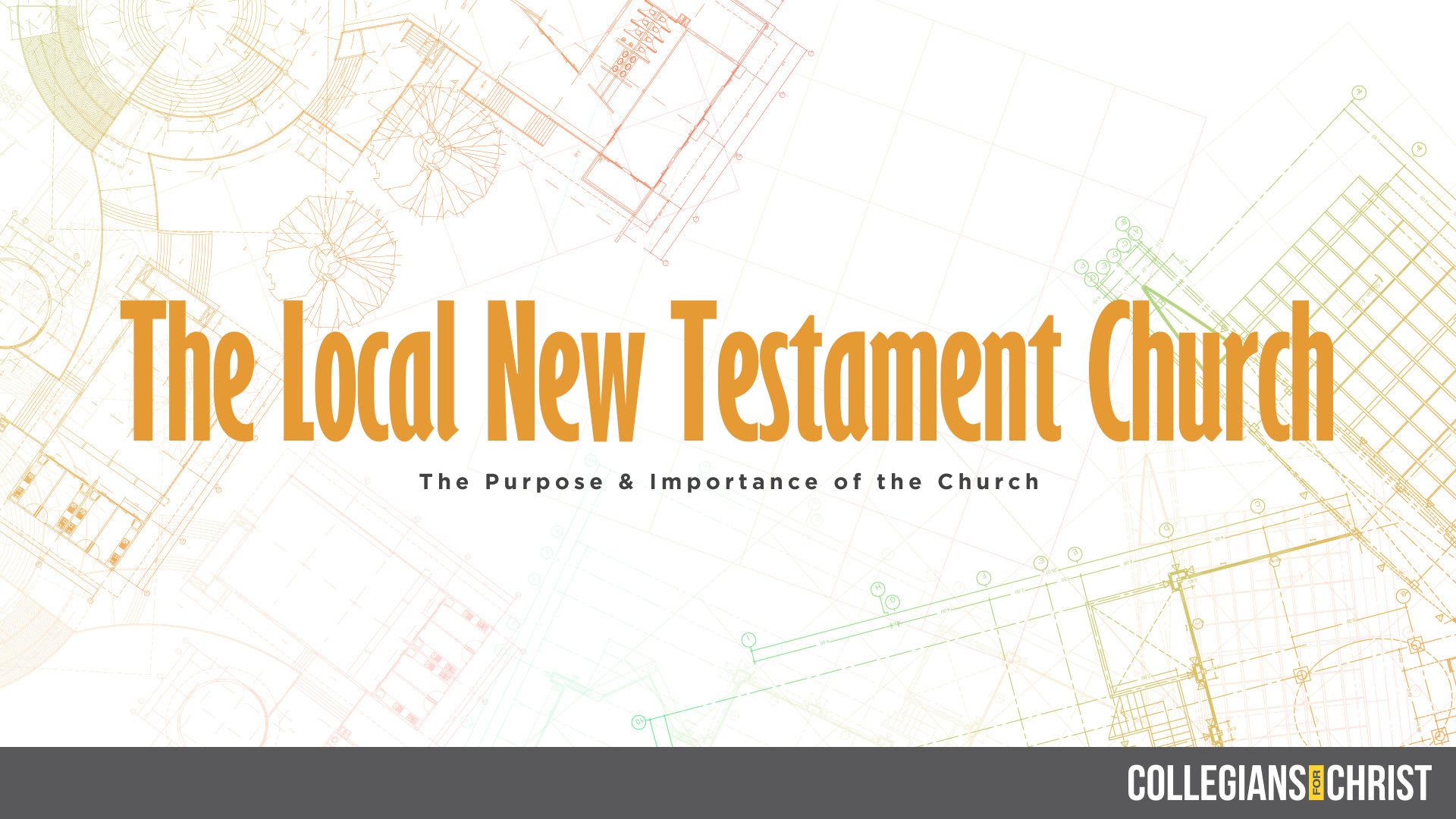 Bible Study Material & Resources