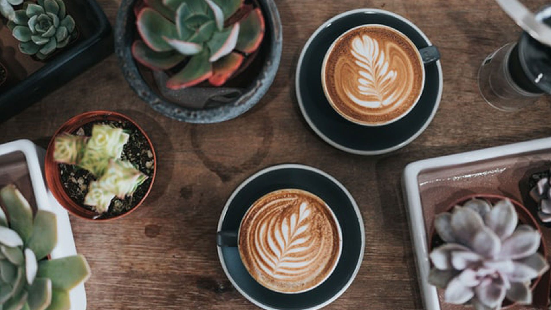 Meg-A-Latte — Williston's Specialty Coffee Shop — Grab A Cup Today!