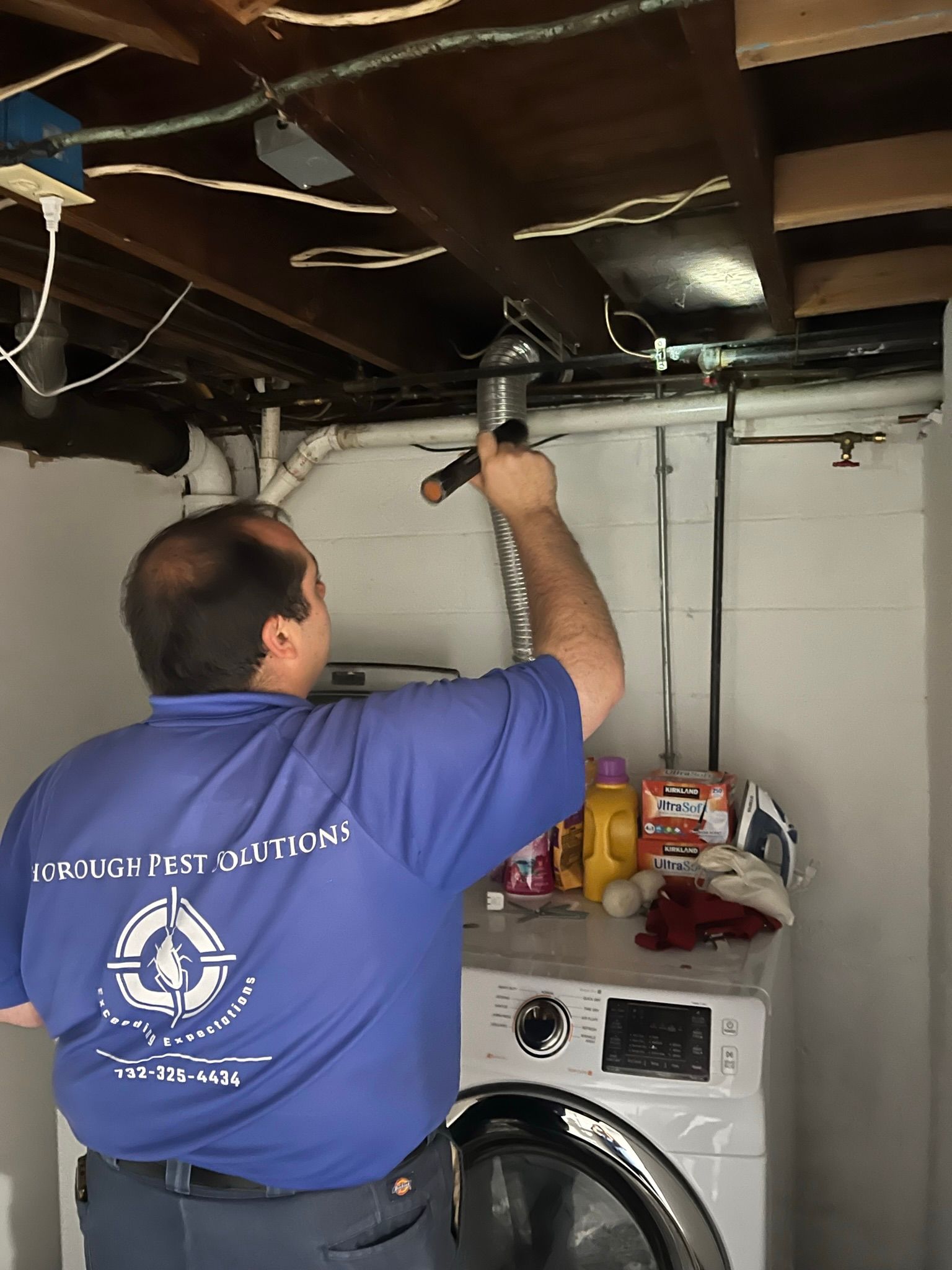 Pest Control | Neptune City, NJ | Thorough Pest Solutions