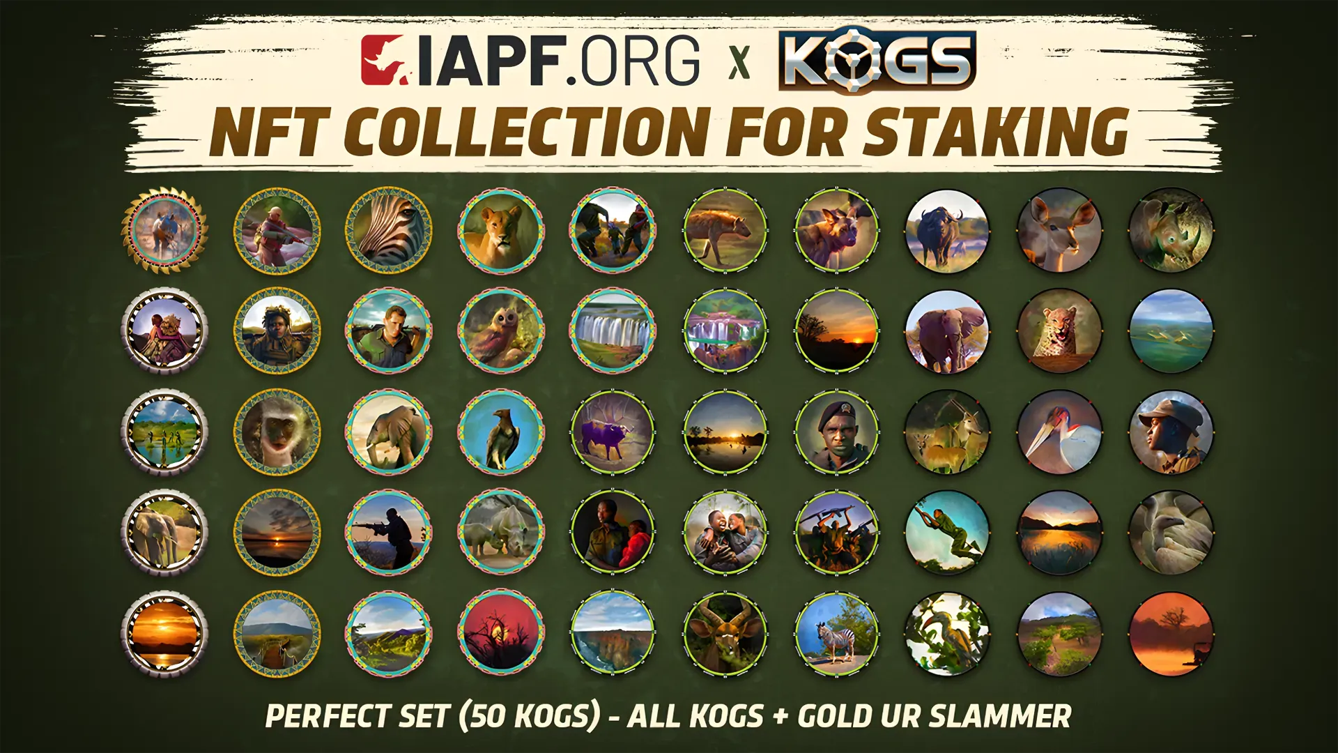 Sets Guide | Master Your Collection for KOGs Special Editions & SLAM!