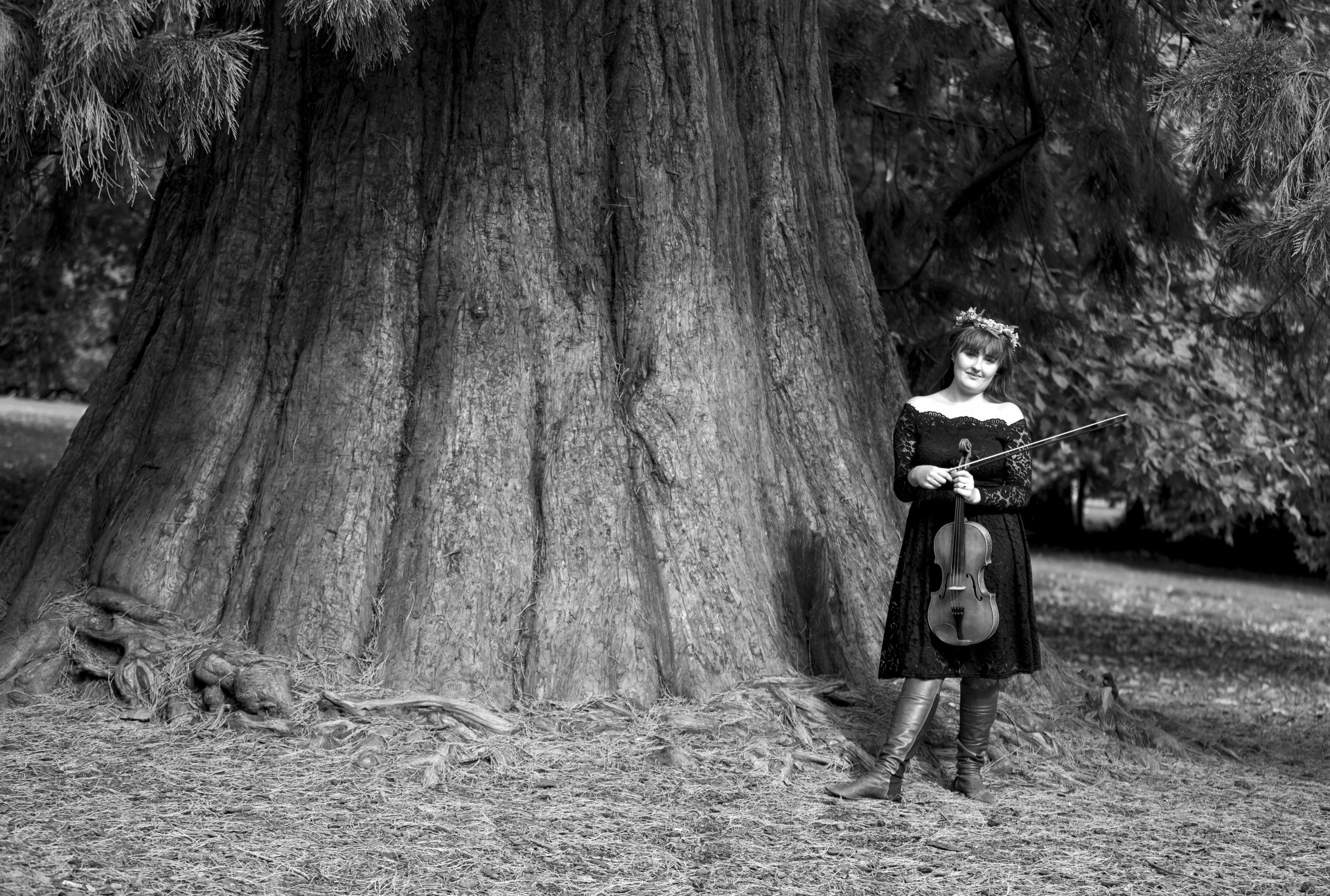 Viola lessons for All - Book A Private Viola Teacher