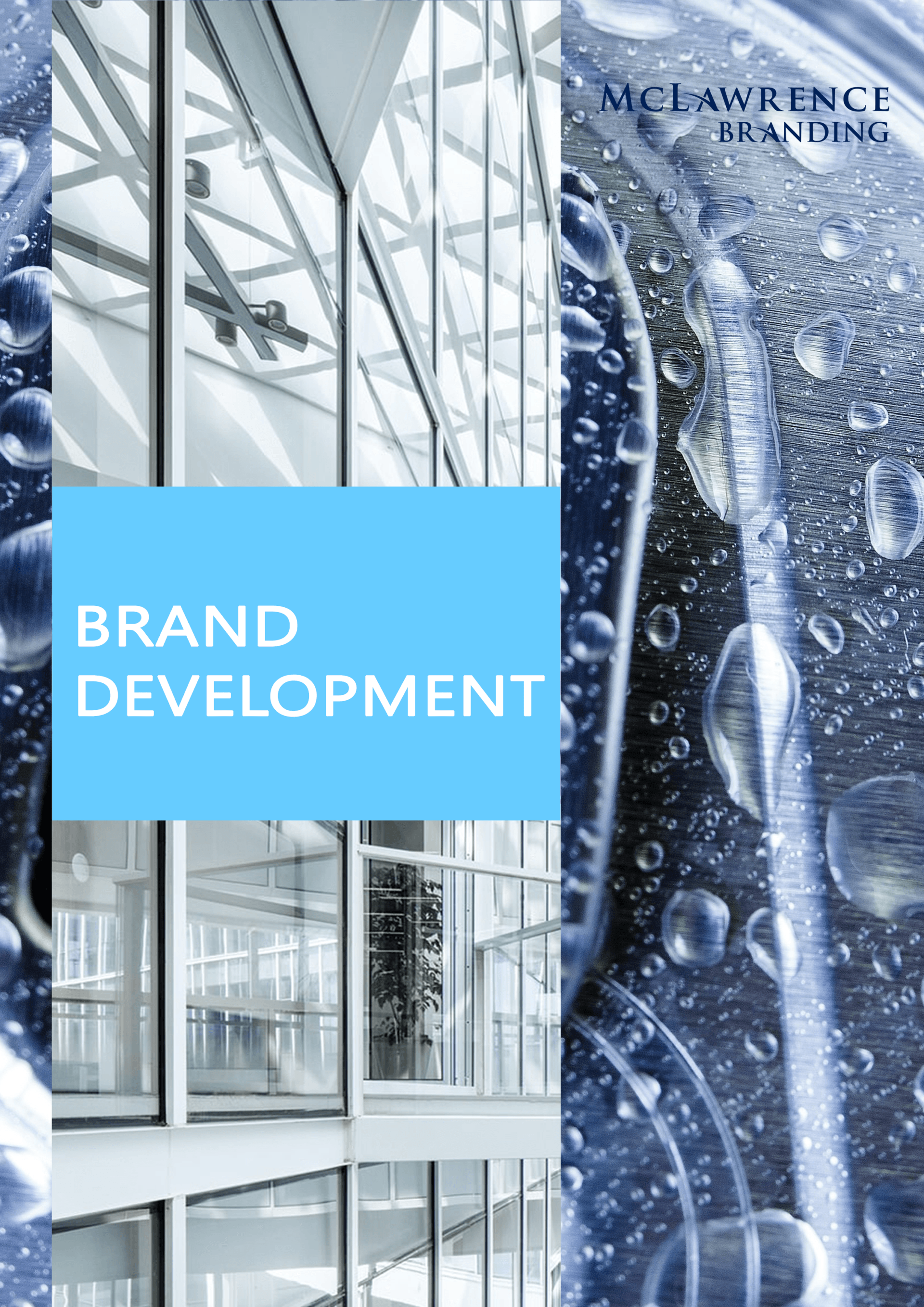 McLawrence Consulting Group | About us