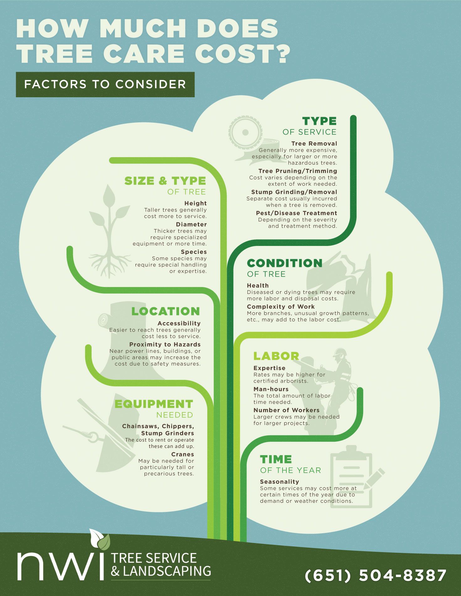 Factors That Determine Cost Of Tree Care
