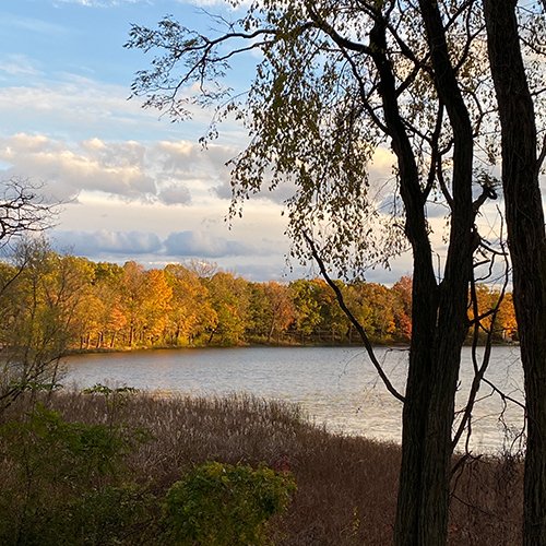 Myers Lake Camping & Cabins | Byron, MI