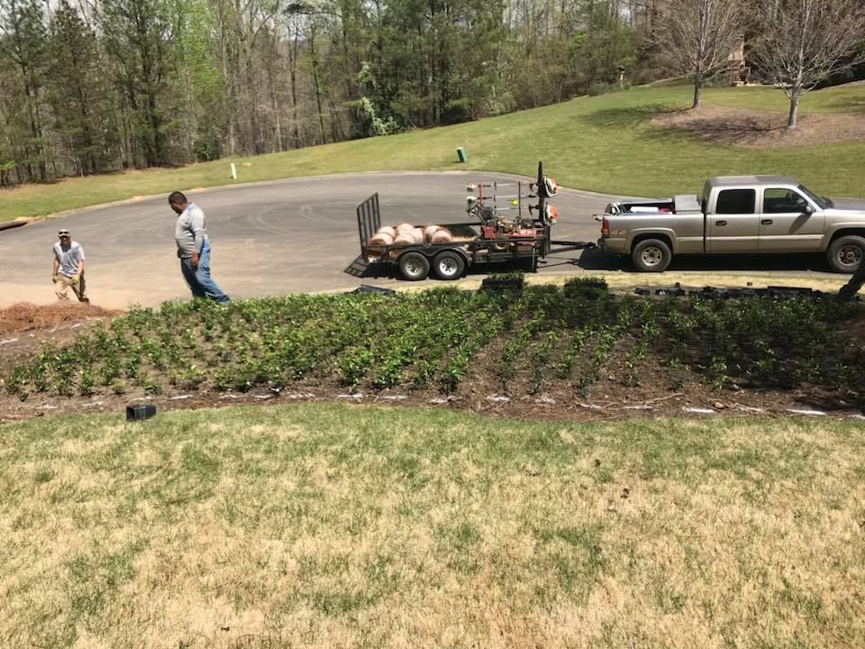 Lawn Care & Maintenance | Trussville, AL | LCP Landscape LLC