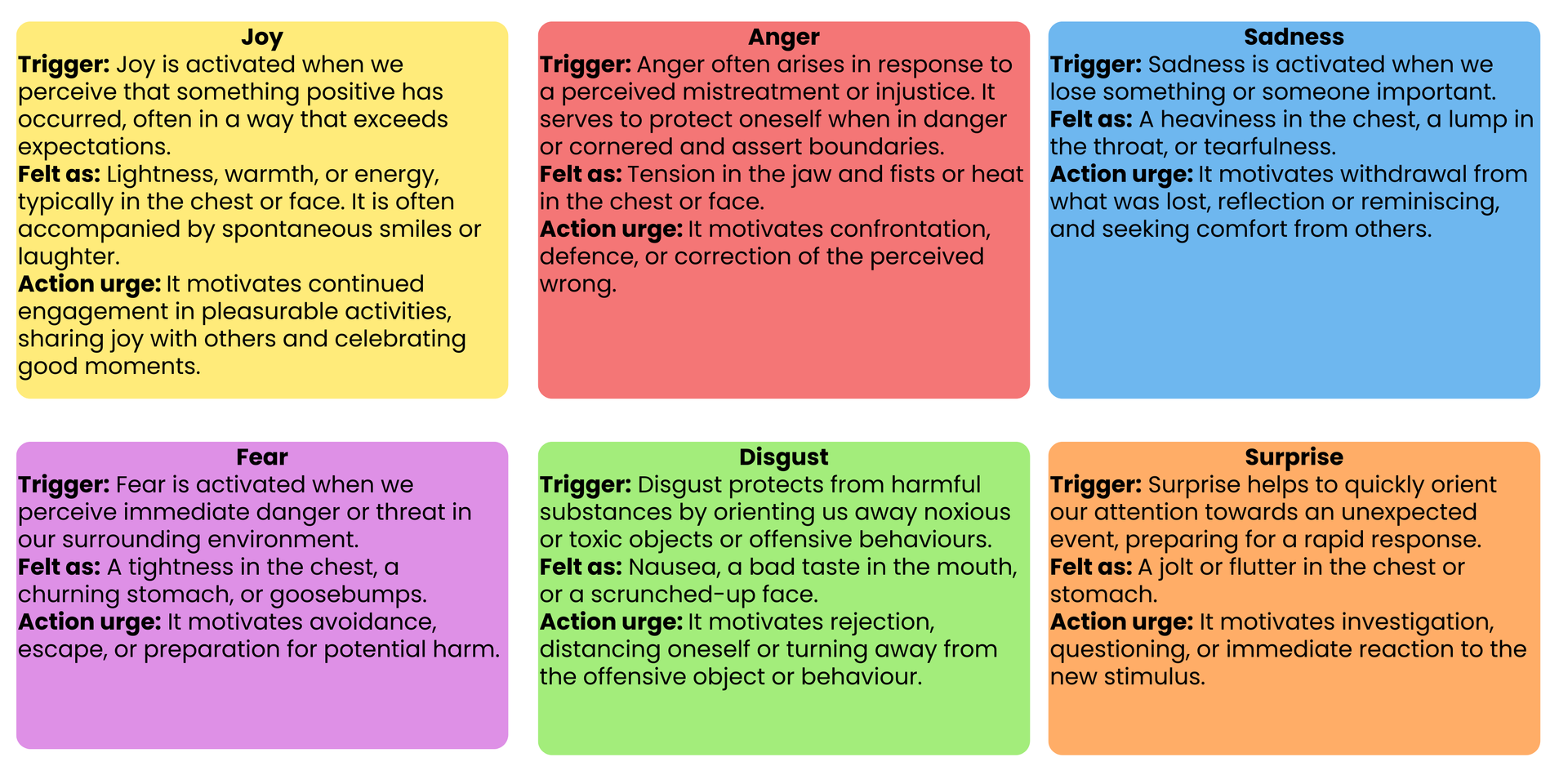 The 6 Basic Emotions: What They Are and Why They Matter