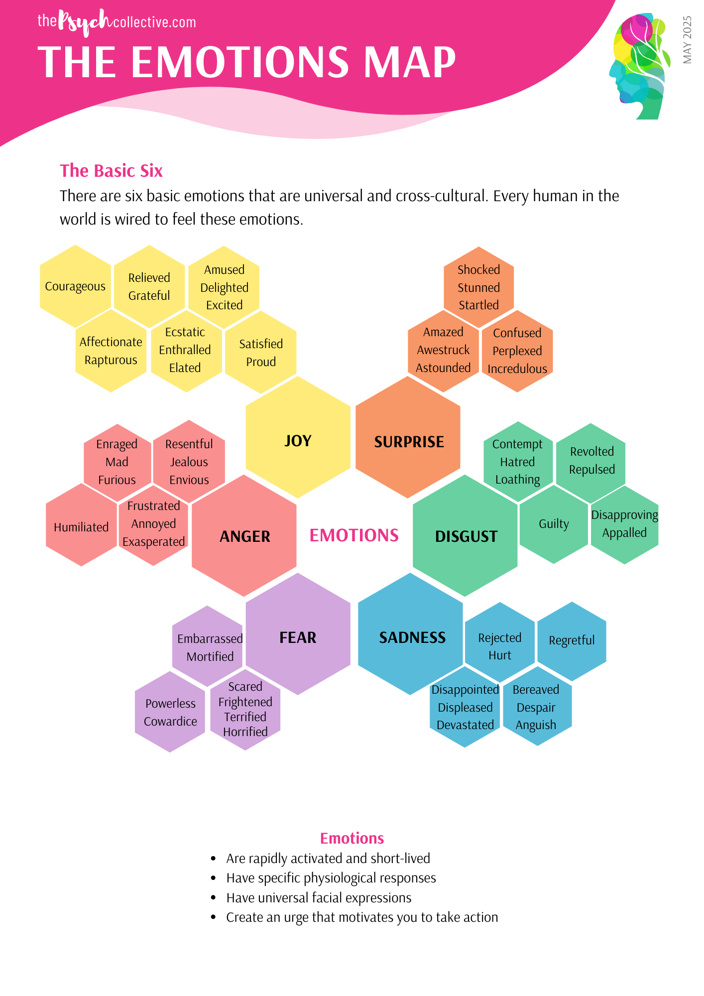 Paul Ekman Six Basic Emotions