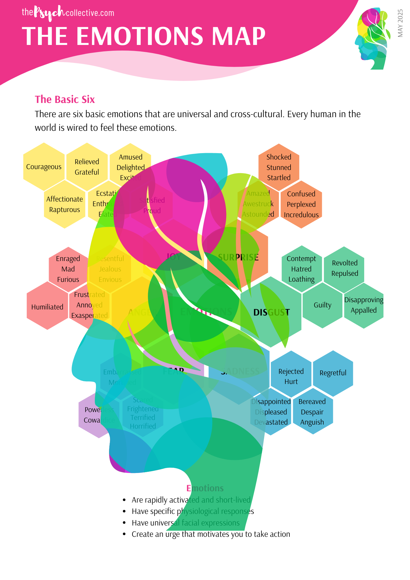 The 6 Basic Emotions