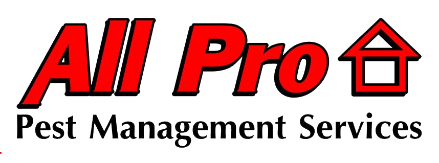 Pest Control Services | All Pro Pest Management Services | Huachuca ...