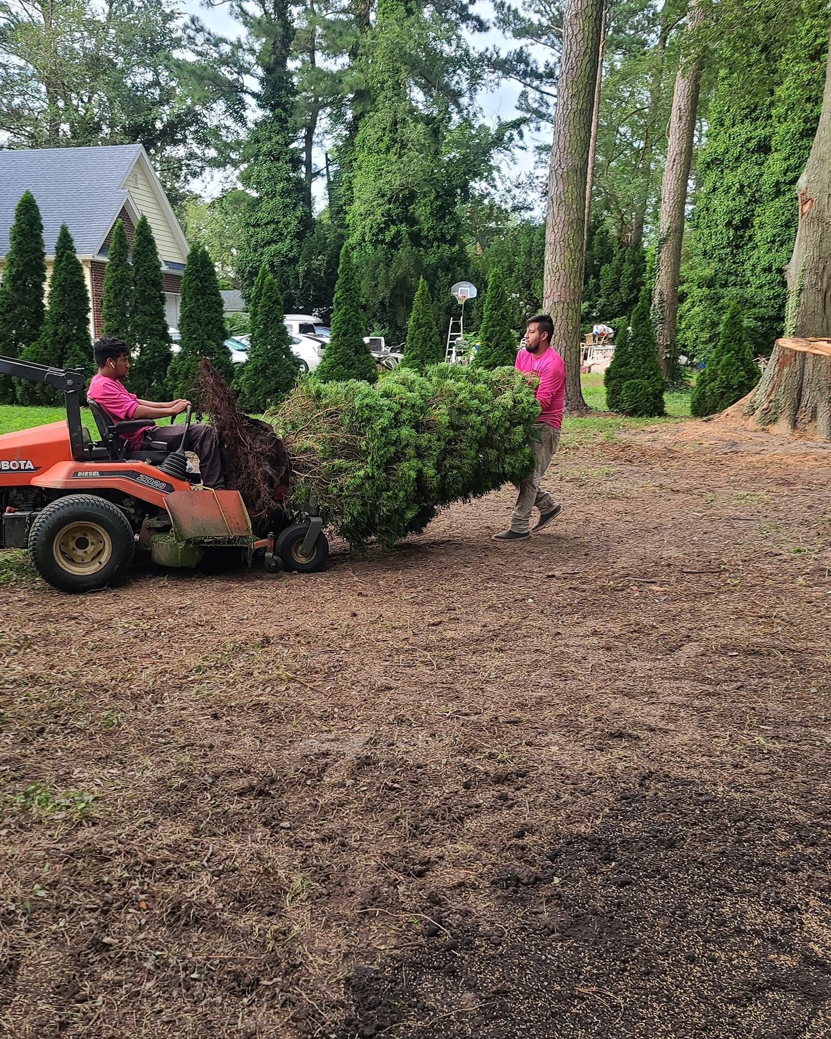 Eastern Shore Friends Landscaping on Delmarva - Delaware and Maryland