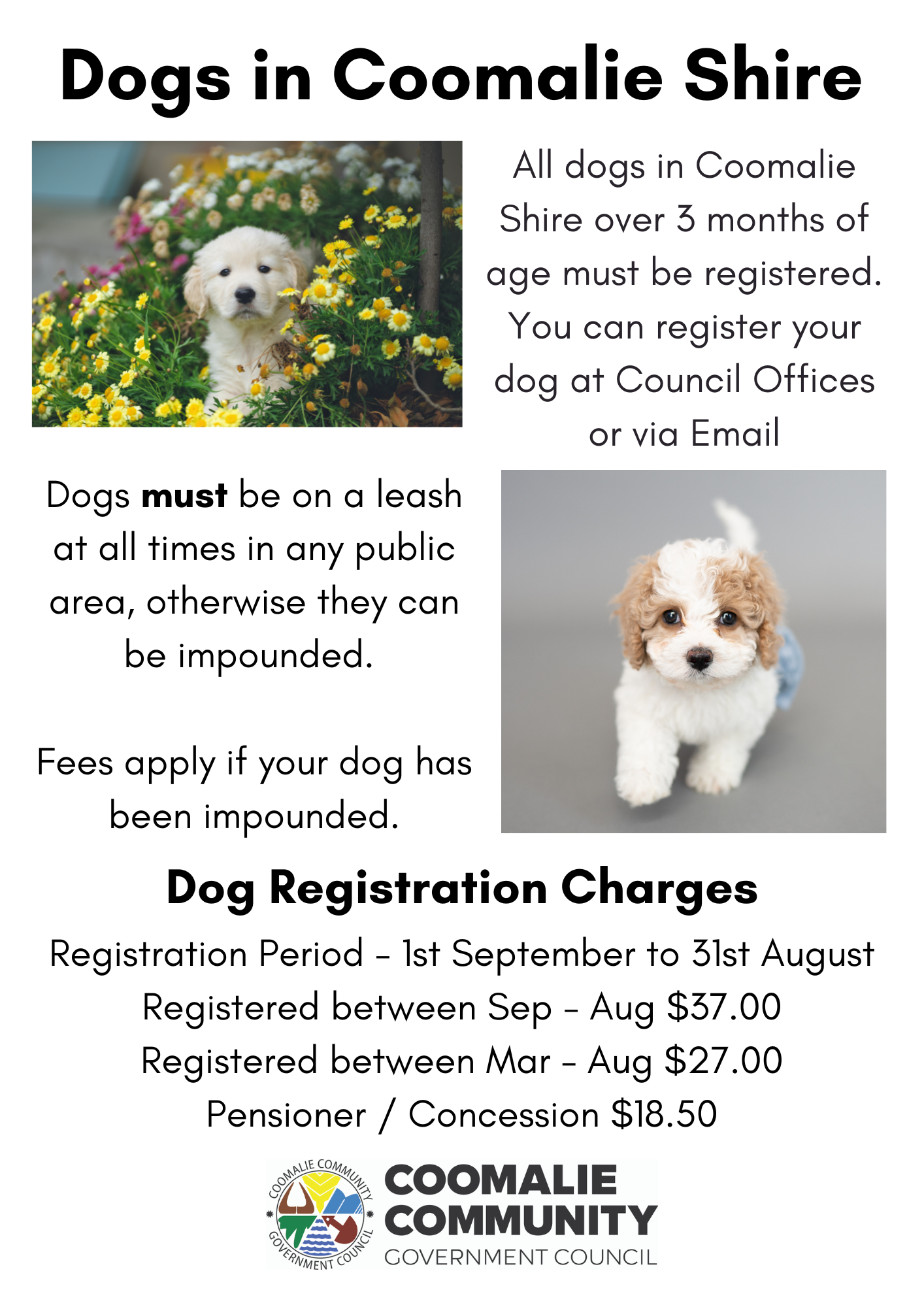 Dog Registrations Now Due