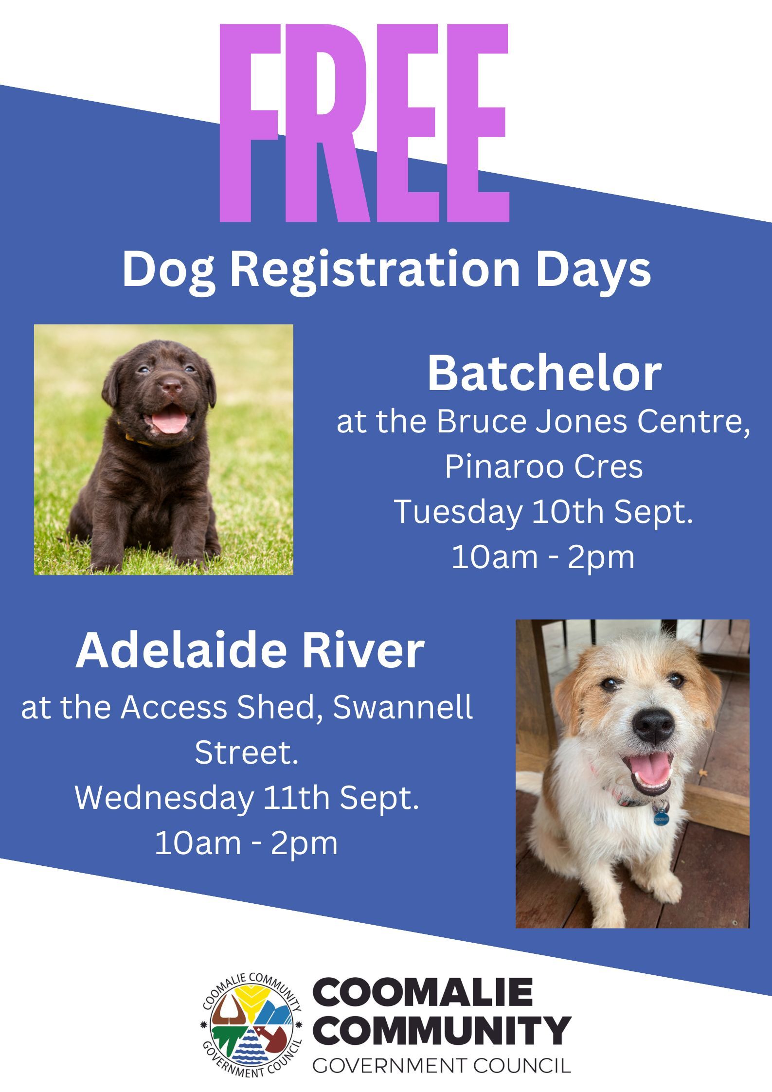 Free Dog Registration Day