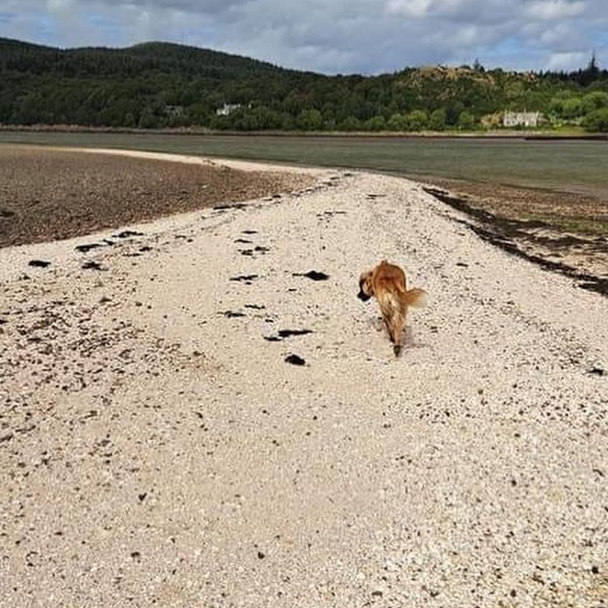 Dog Friendly Pod & Cabin Holidays Scotland | Gorsebank