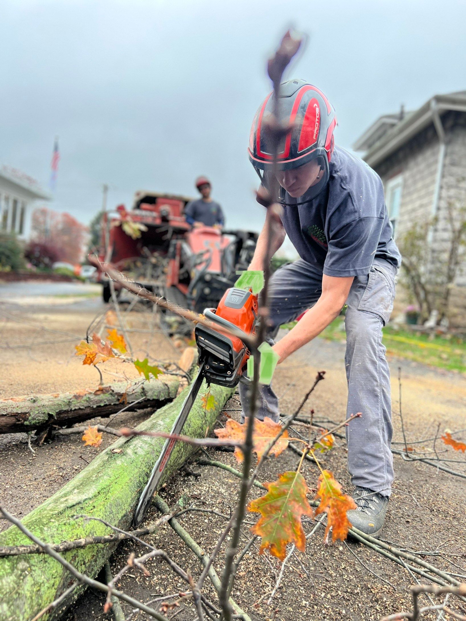 Weeks Tree Service