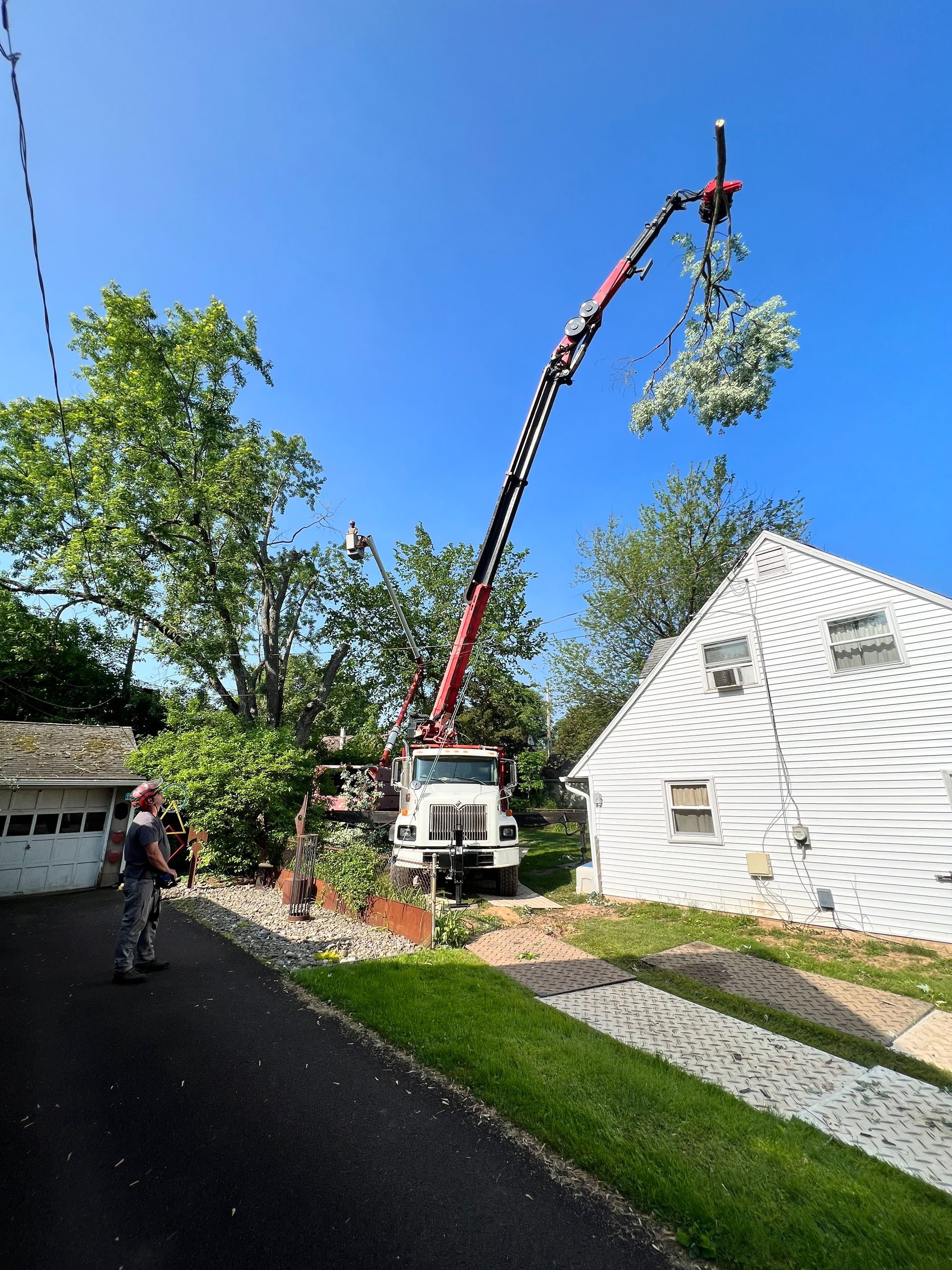Weeks Tree Service
