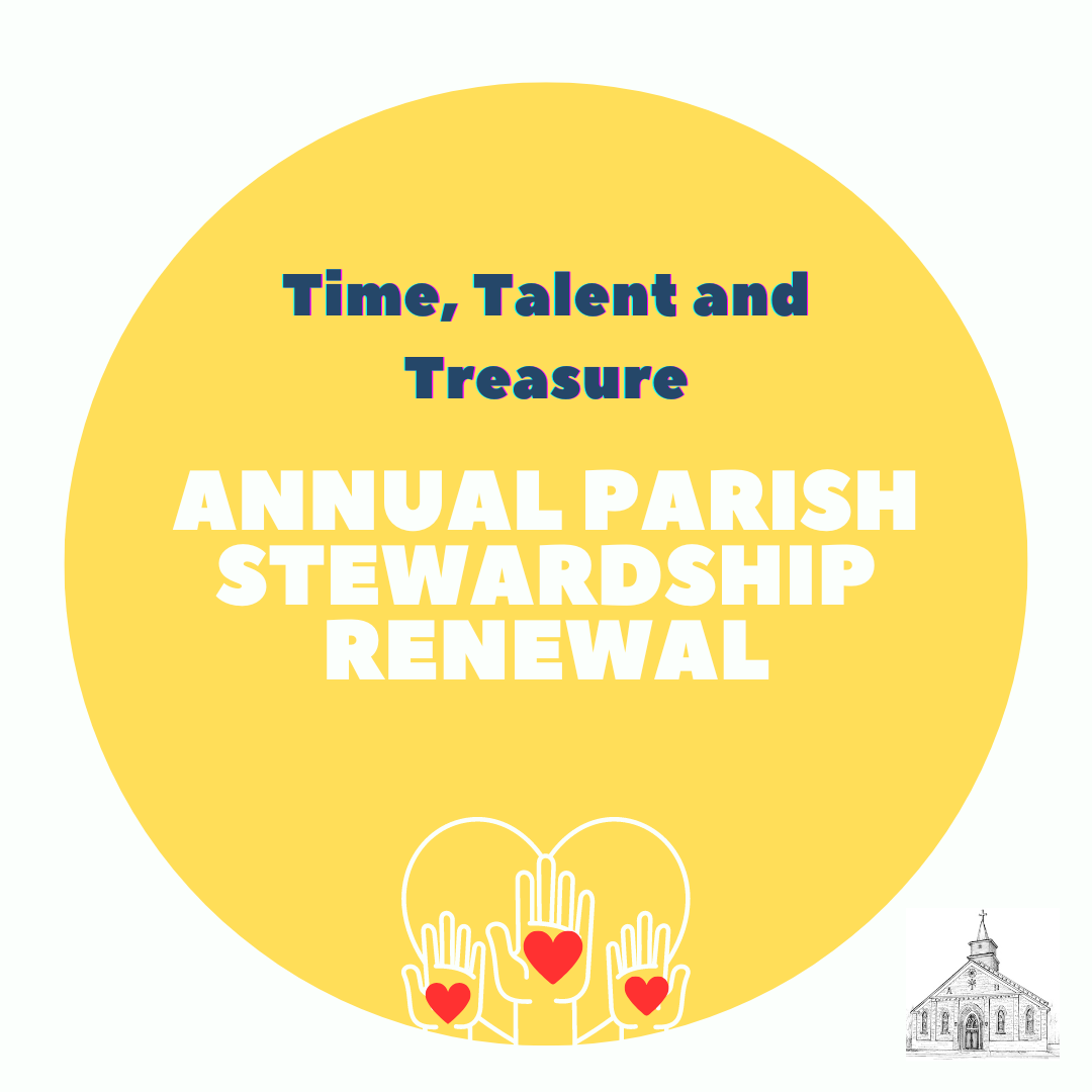 Home [stambroseseymour.org]