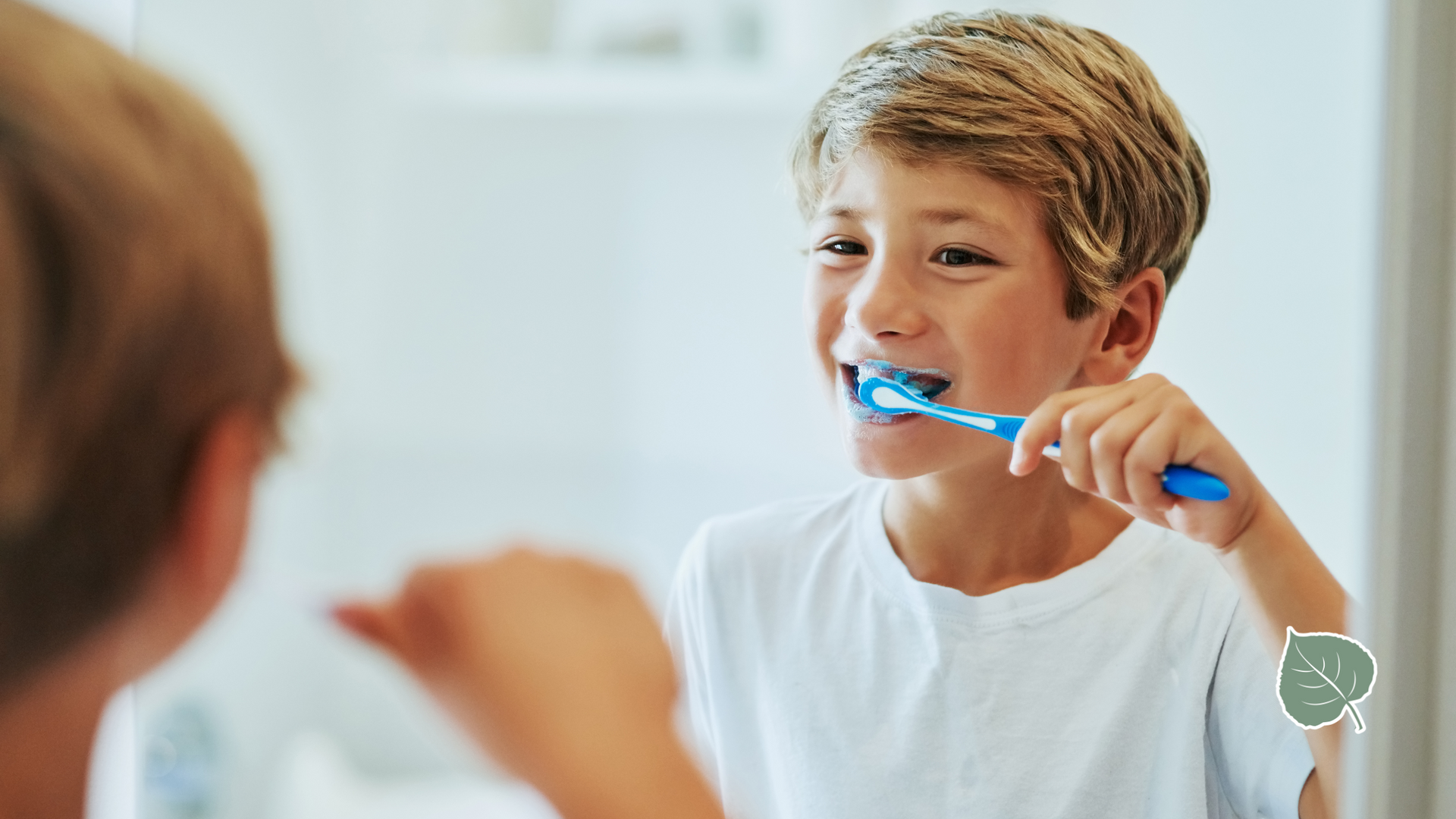 Tooth Timeline: Baby Teeth Eruption and Shedding Guide