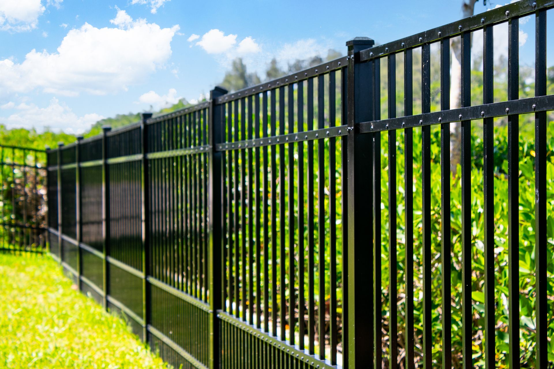 Freedom Fence | Sarasota County