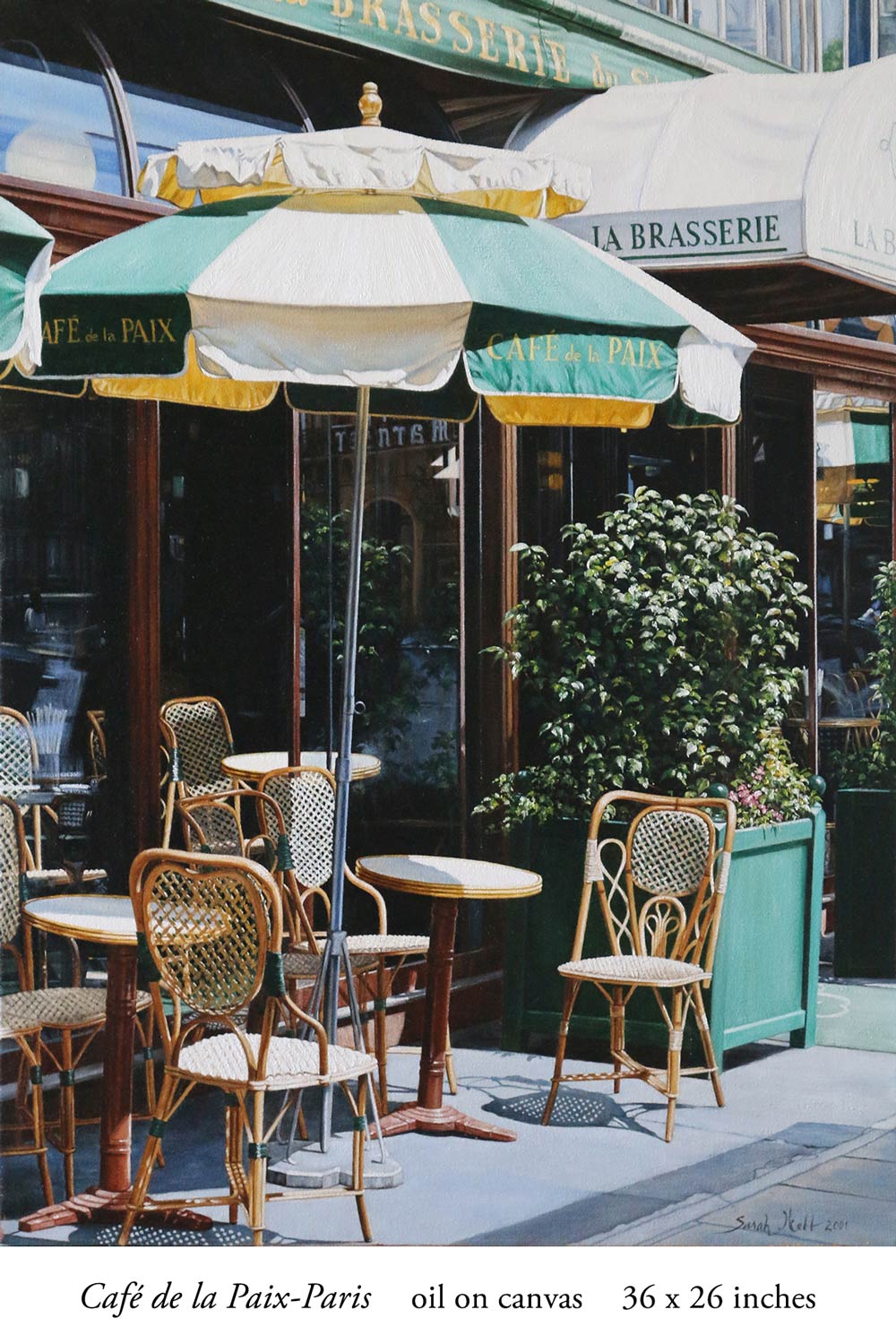 Sarah Webb Paintings