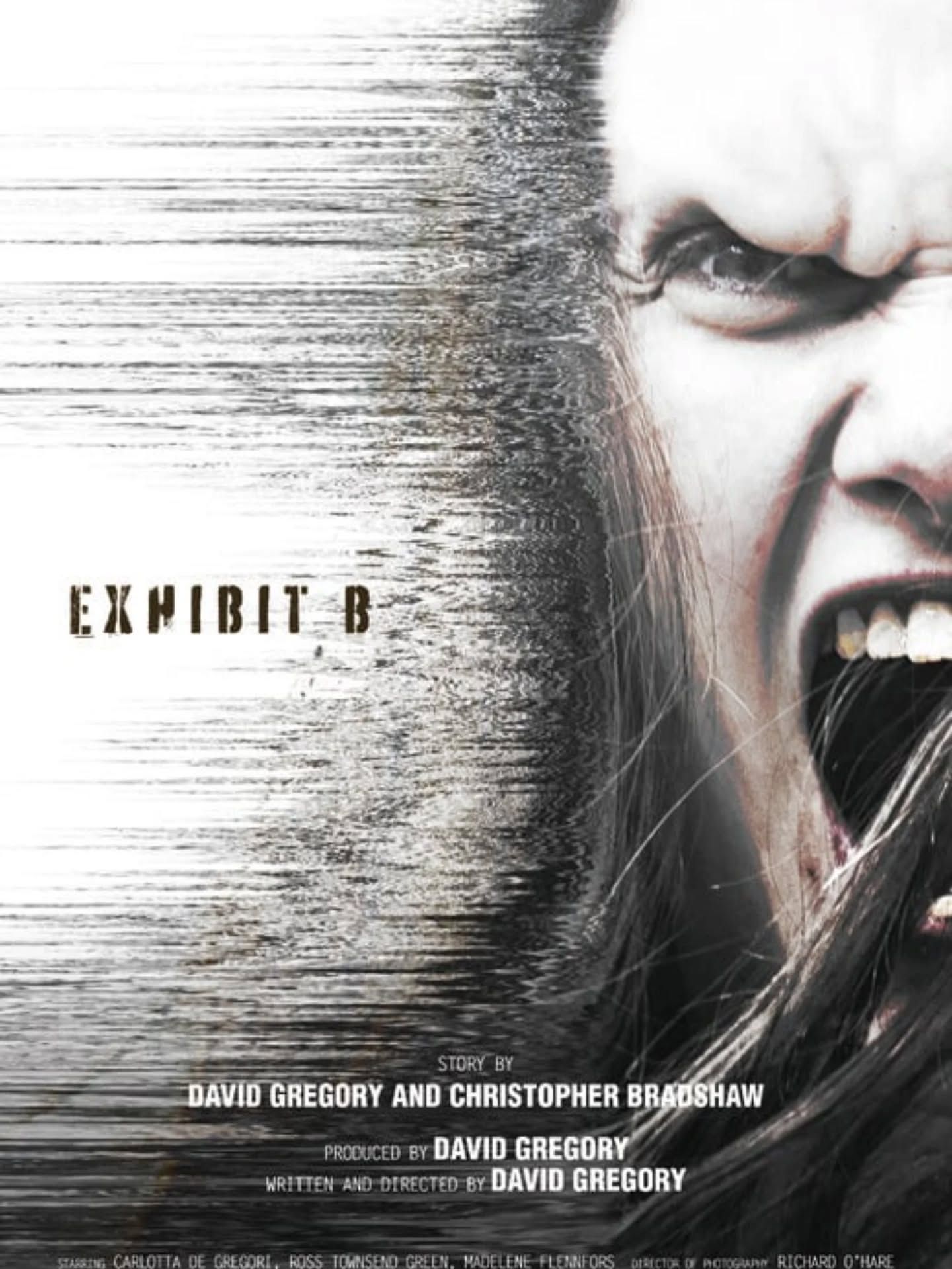 Midlands Review of Exhibit B