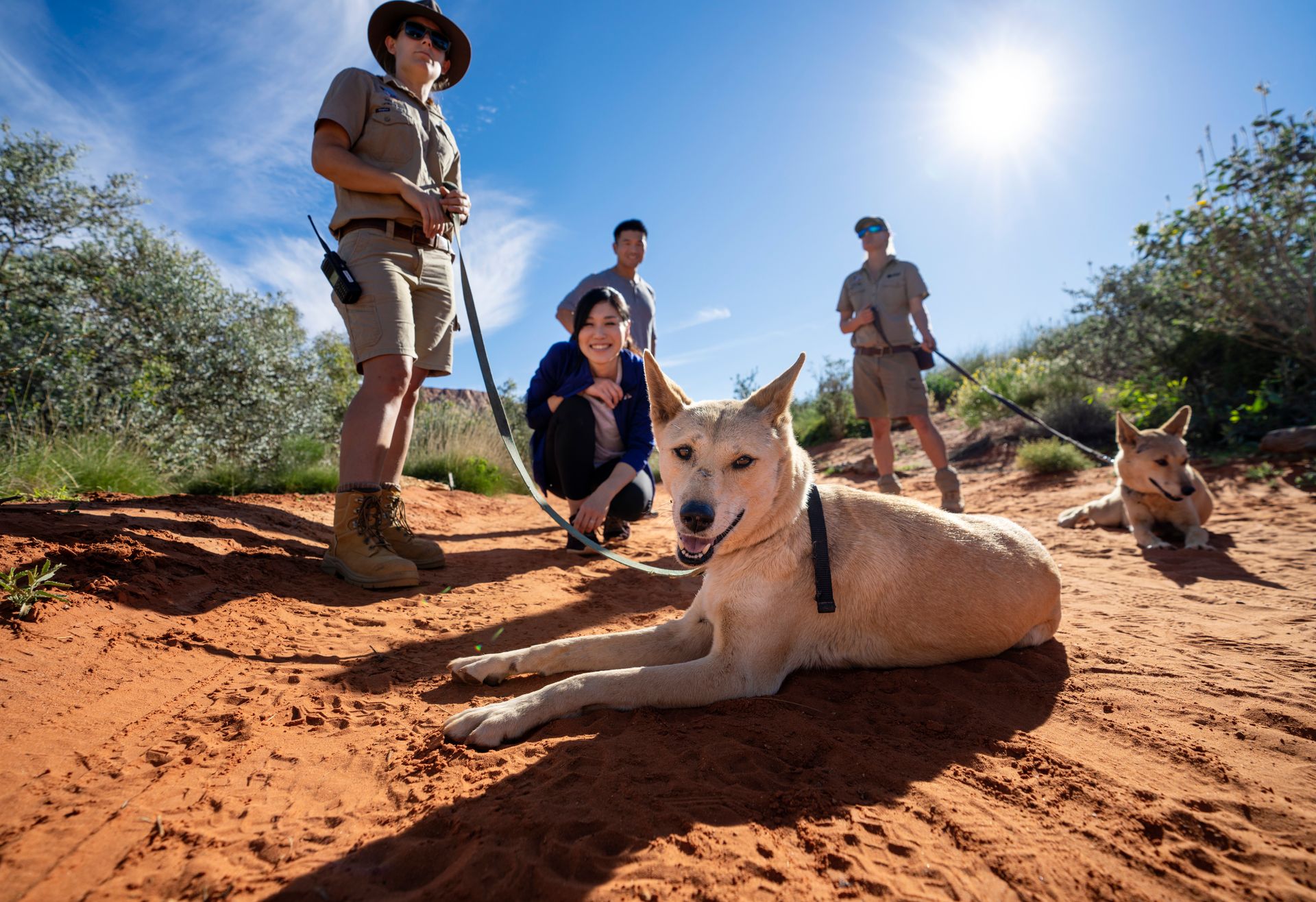 Top things to do in Alice Springs
