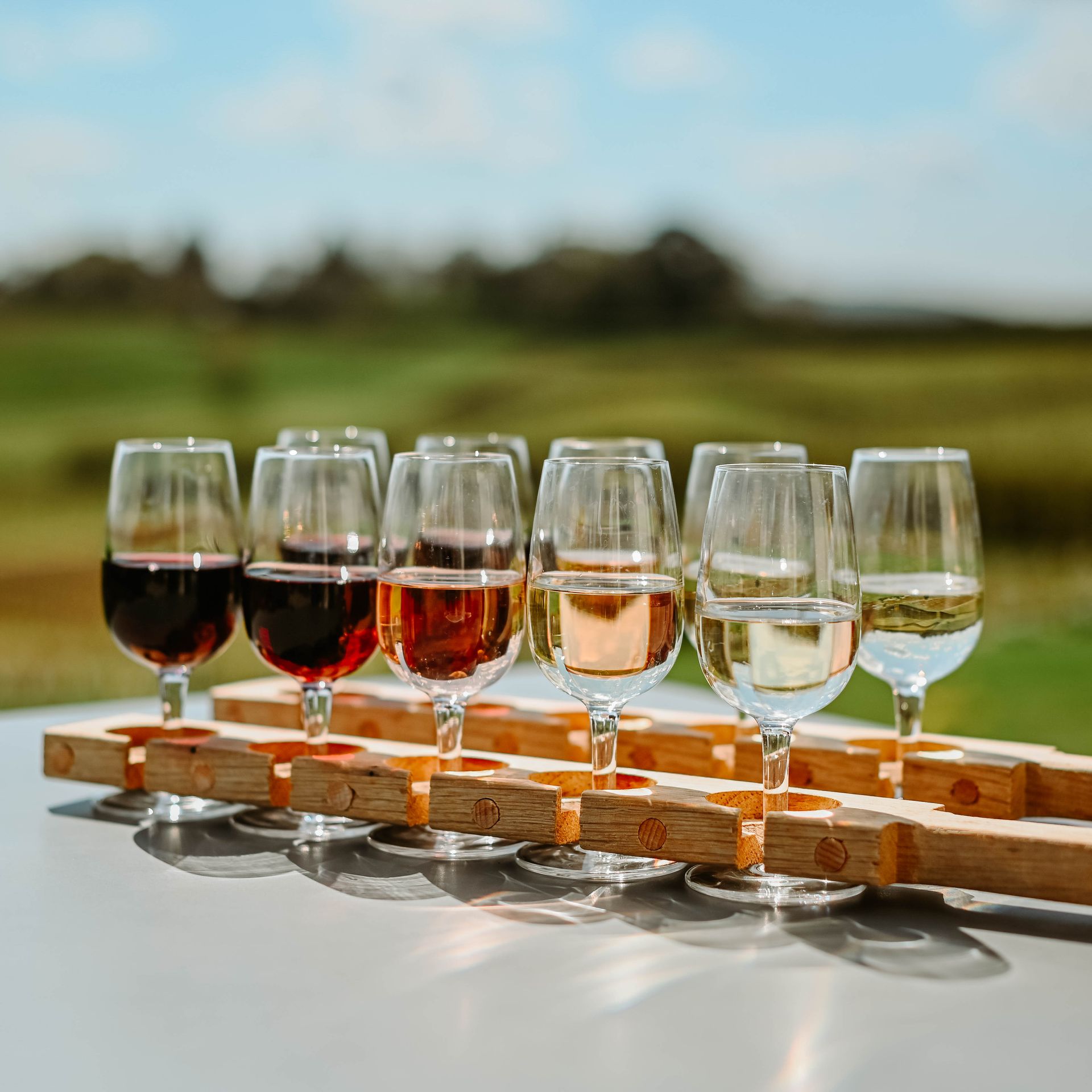 Wine Tasting at Three Choirs Vineyard | Gloucestershire